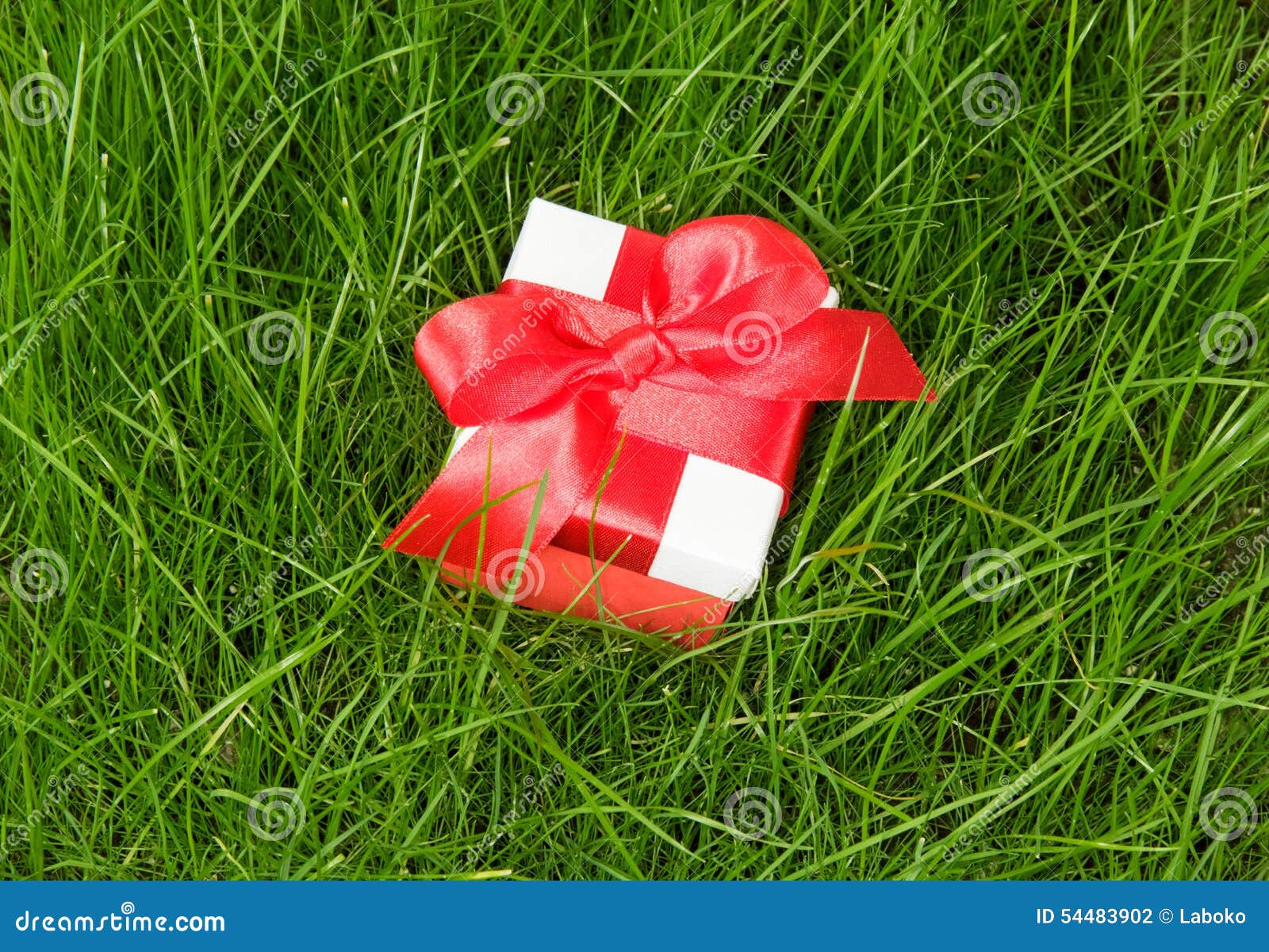 Gift box on green grass stock photo. Image of kids, festival - 54483902