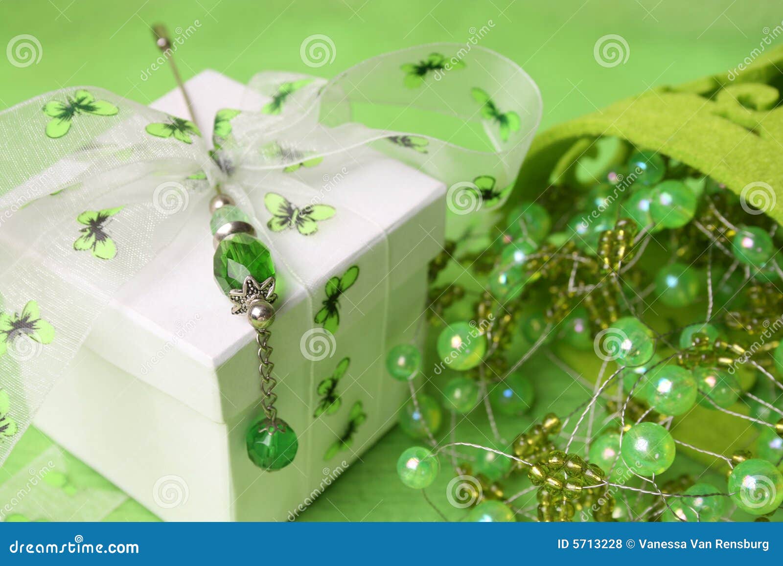 Gift Box with Pin stock photo. Image of butterfly, beadwork - 5713228
