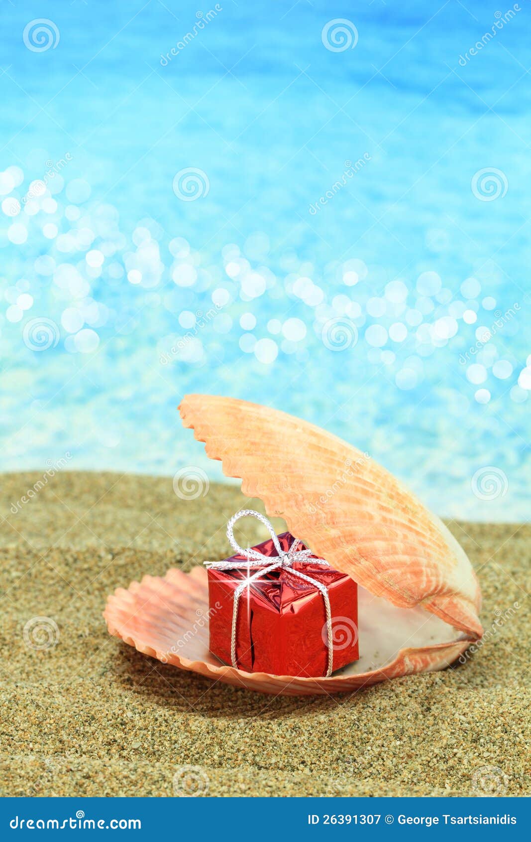 Gift box in a sea shell stock image. Image of santa, ornament - 26391307
