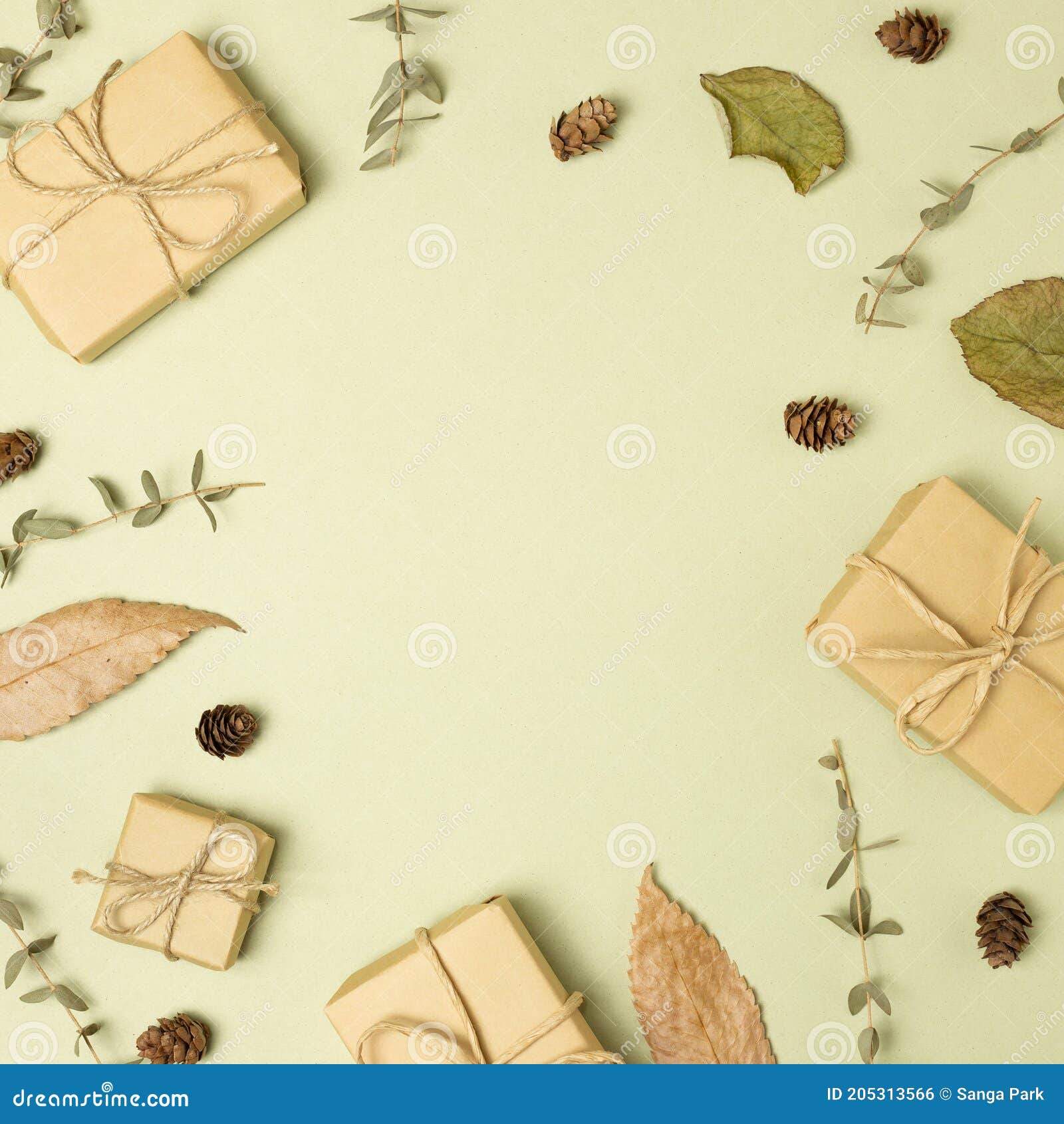 Gift Boxes with Eucalyptus Leaves and Pine Cones on Khaki Green ...