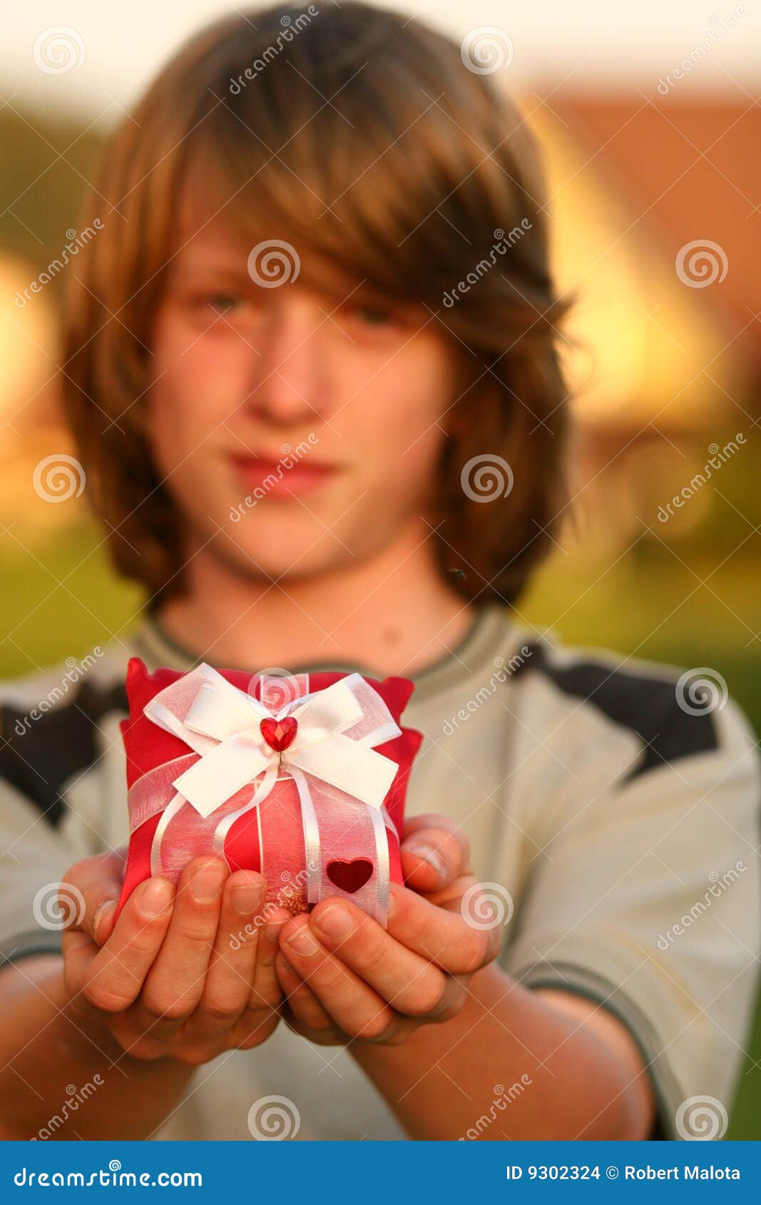 Gift and boy stock photo. Image of family, heart, honest - 9302324
