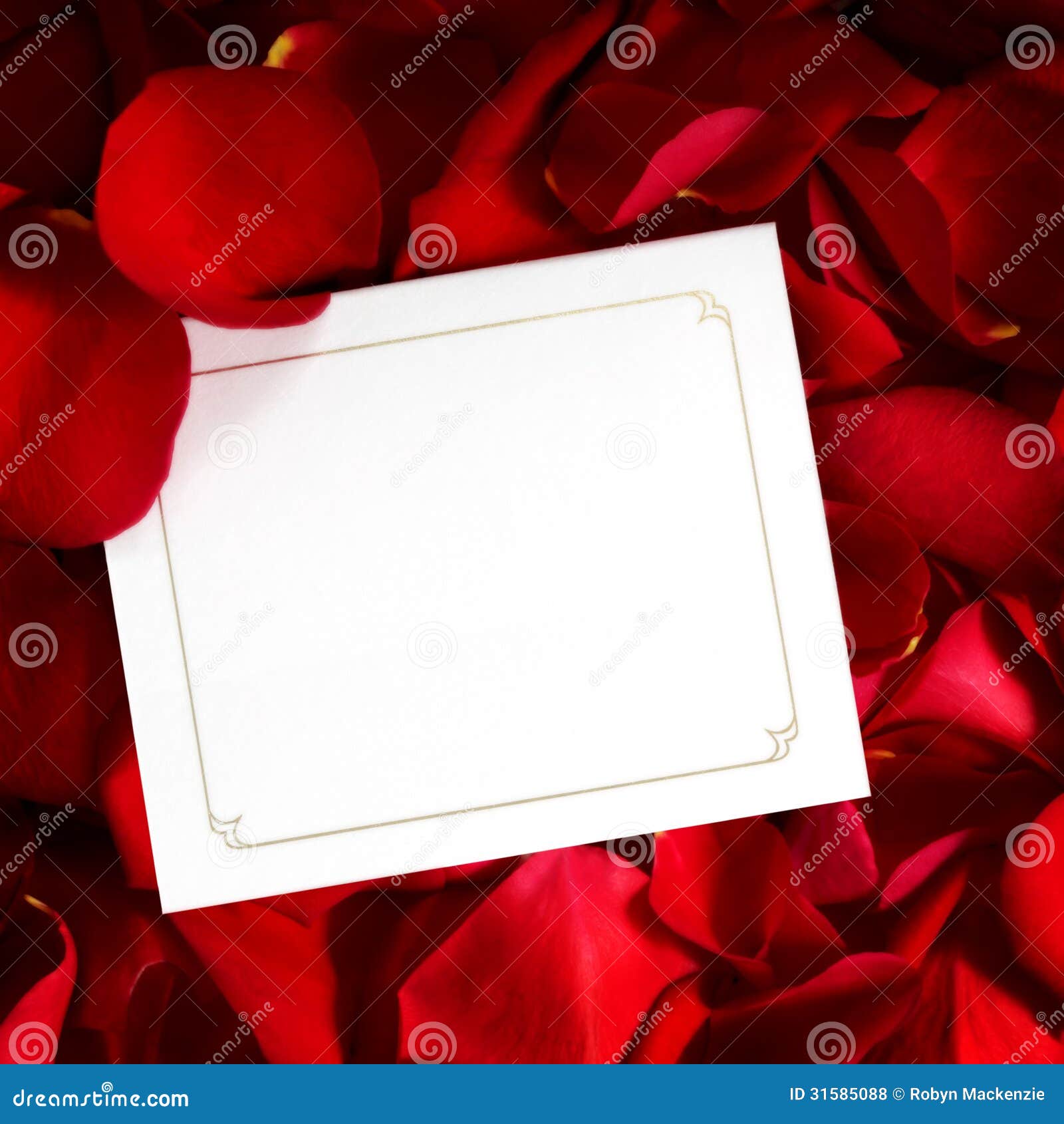 Gift Card on Red Rose Petals Stock Photo - Image of copyspace, white ...