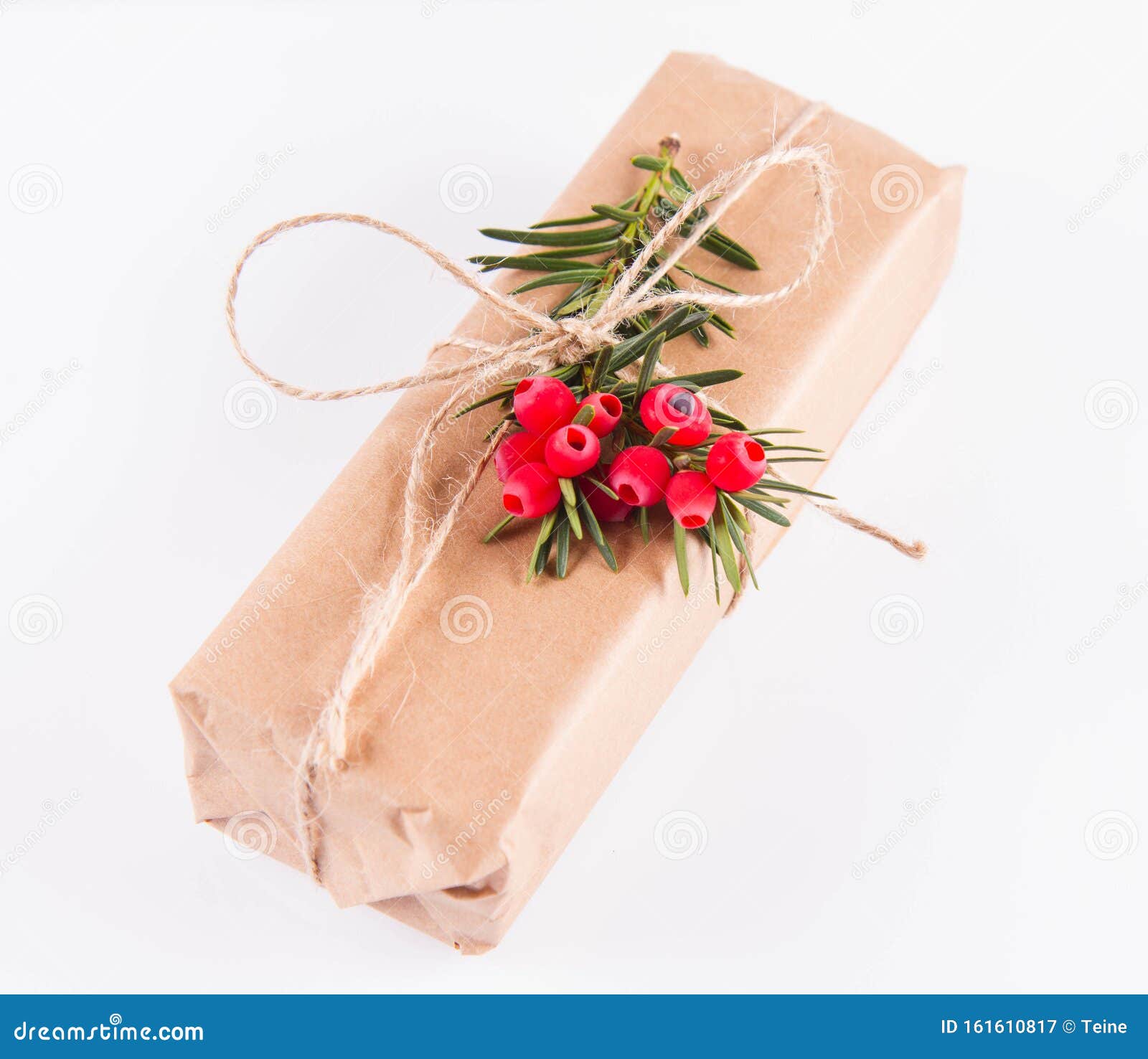 Gift Decorated with Yew Twig Stock Image - Image of festive, colorful ...