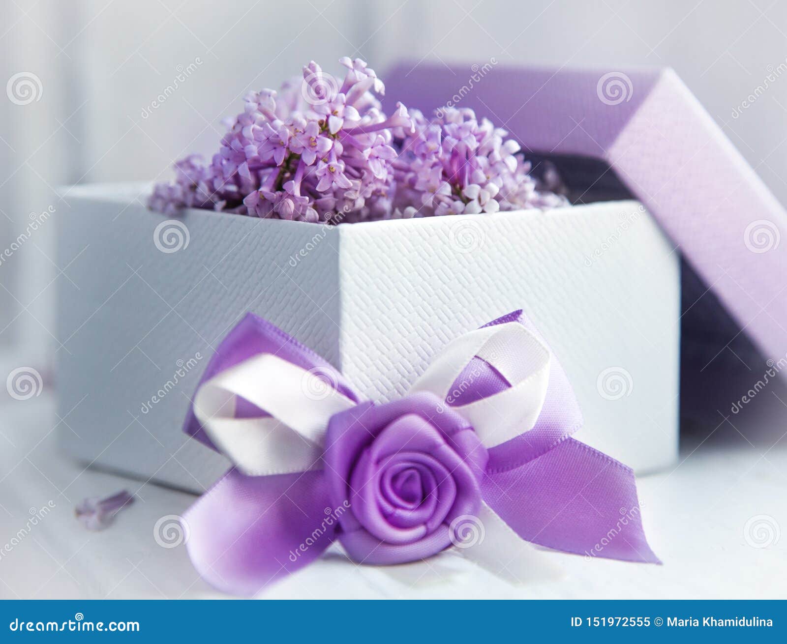 Gift Design in Lilac Color. Box with Ribbon and Blooming Lilac. Stock ...