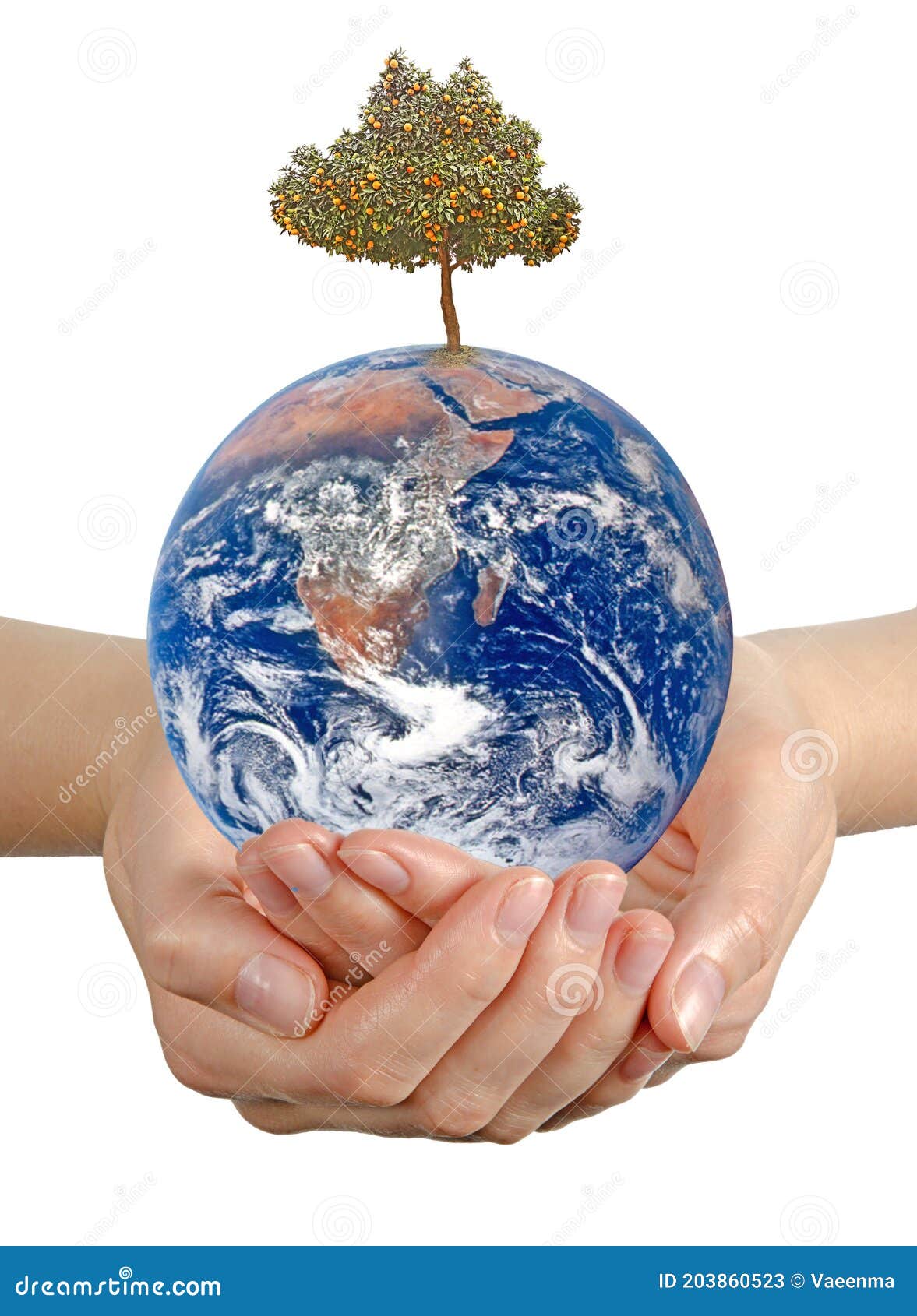 Gift of Earth stock illustration. Illustration of credit - 203860523