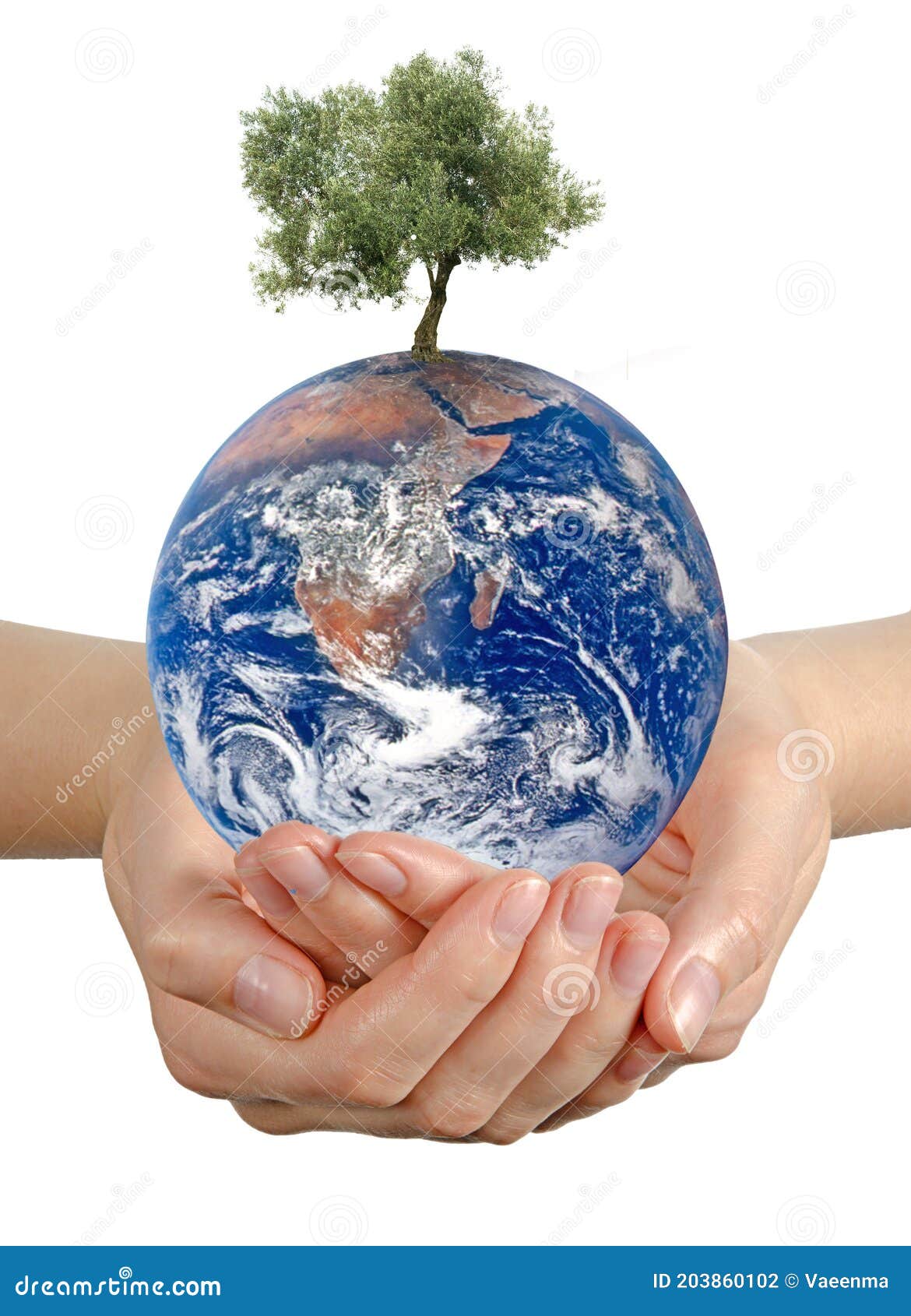 Gift of Earth. stock illustration. Illustration of humanity - 203860102