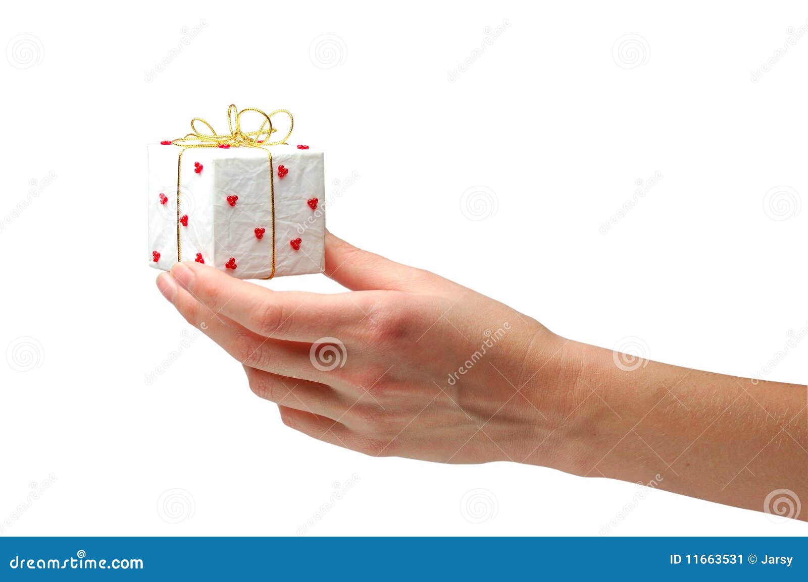 Gift giving stock image. Image of hand, holding, female - 11663531
