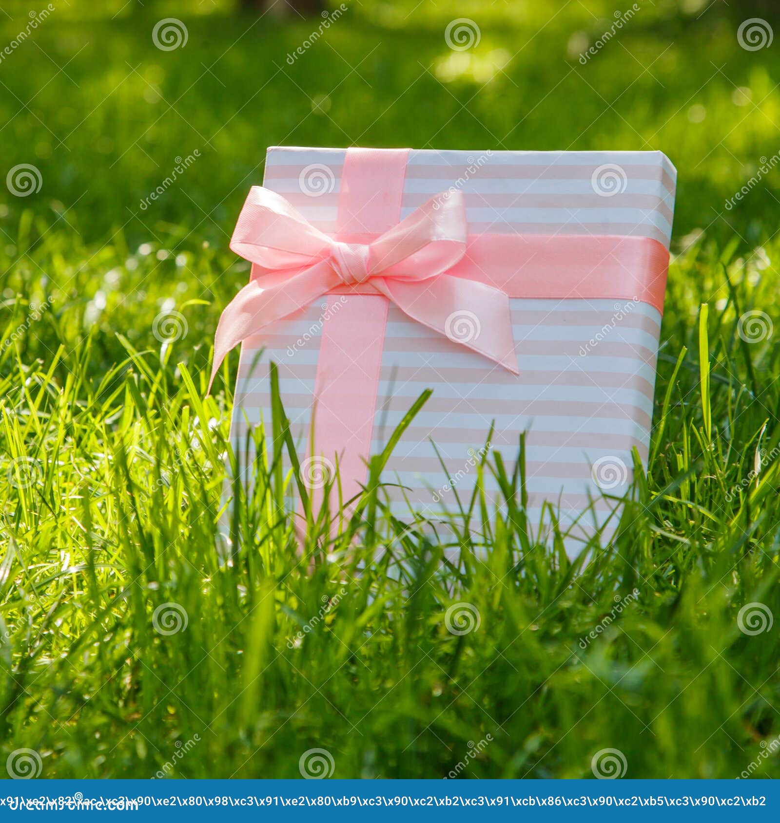 Gift on Green Grass with a Pink Bow Stock Image - Image of beautiful ...