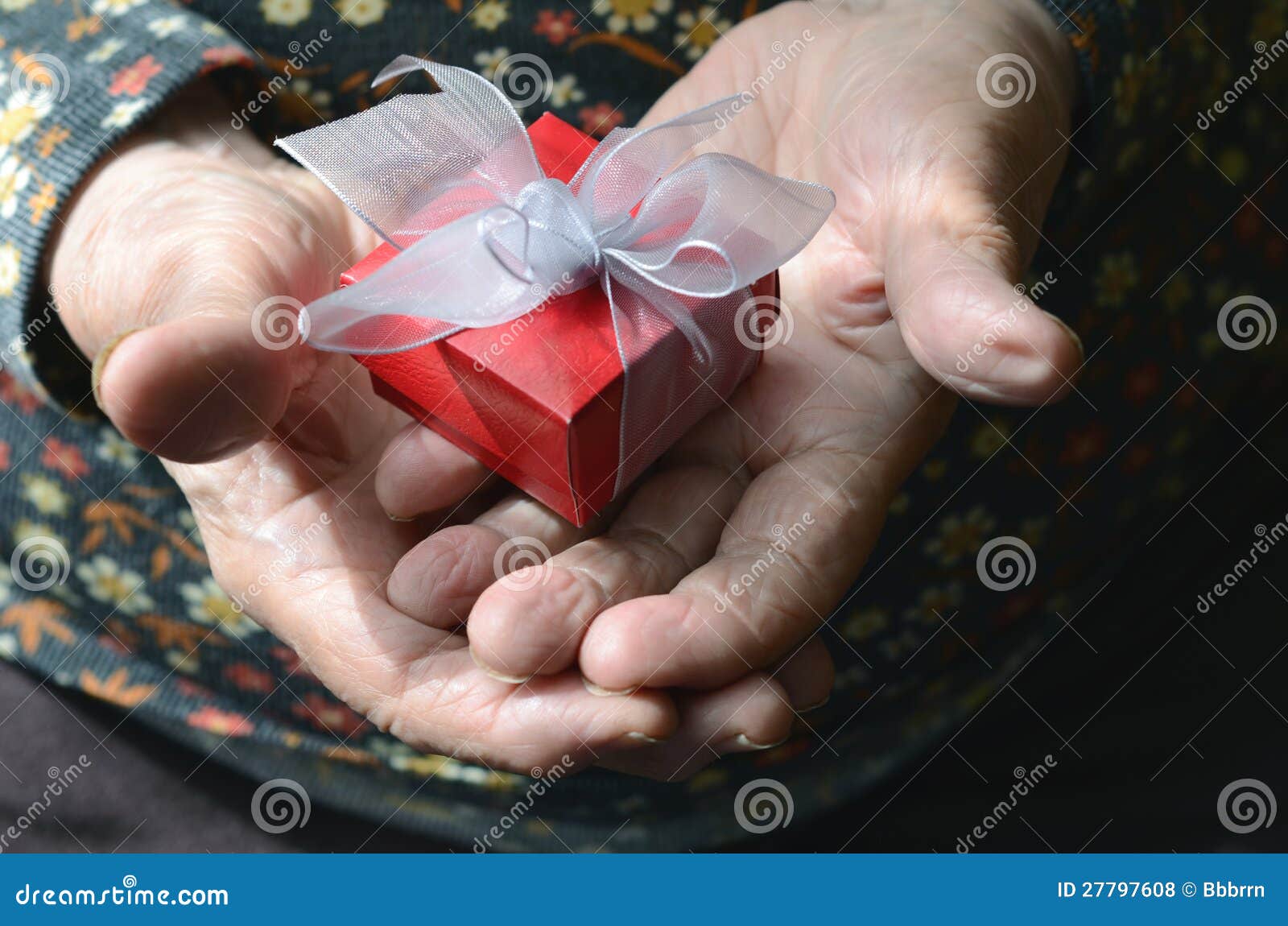 Gift on hand stock photo. Image of cheerful, celebrate - 27797608