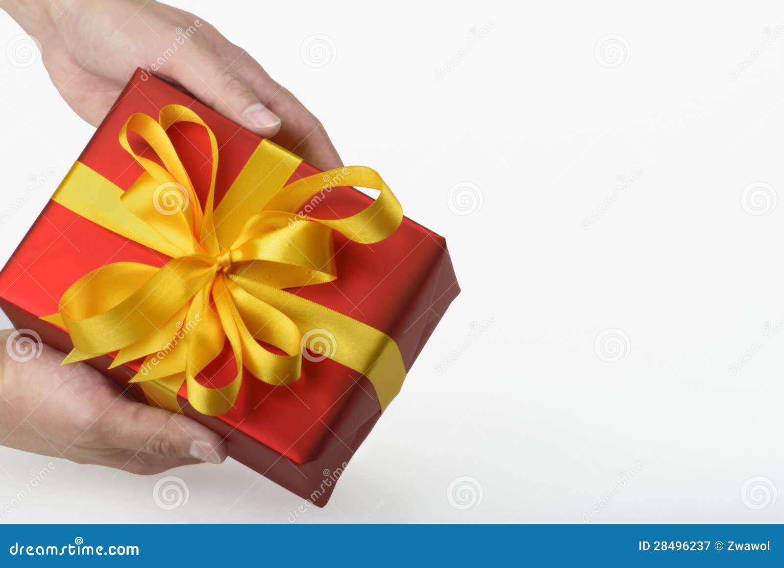 Gift holding in hands stock image. Image of isolated - 28496237