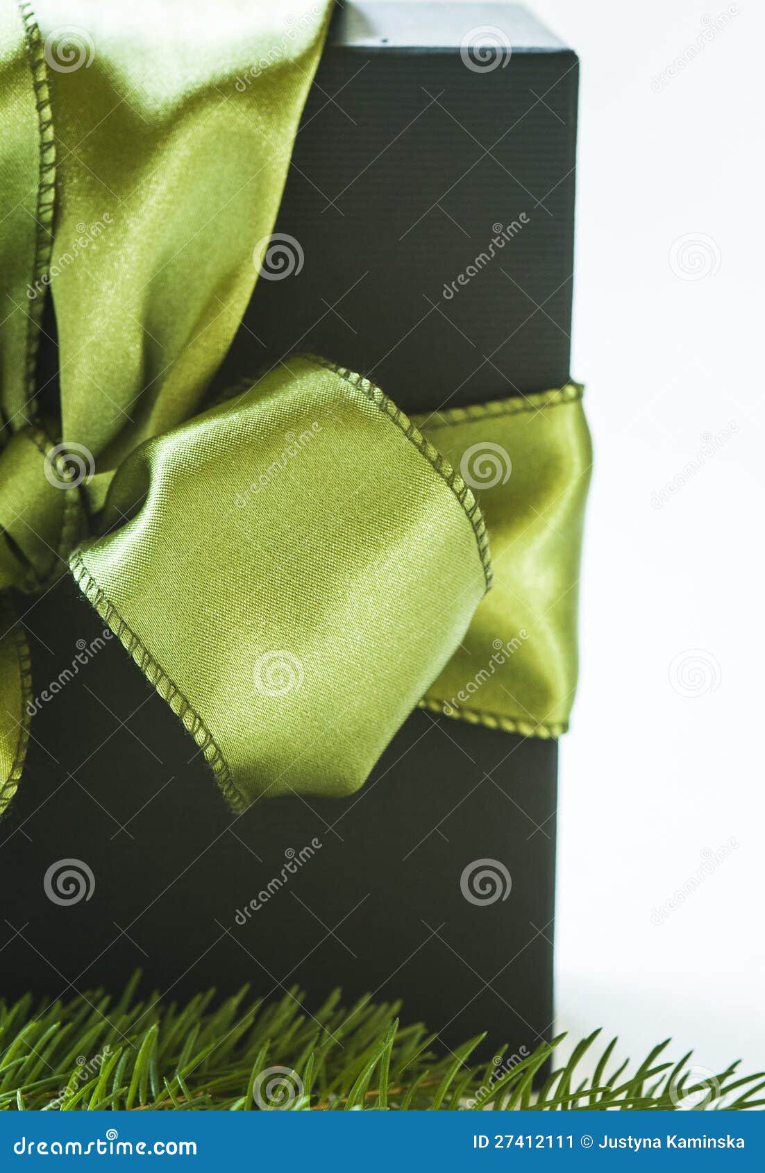Gift in the Package with Ribbon Stock Image - Image of seasonal, santa ...