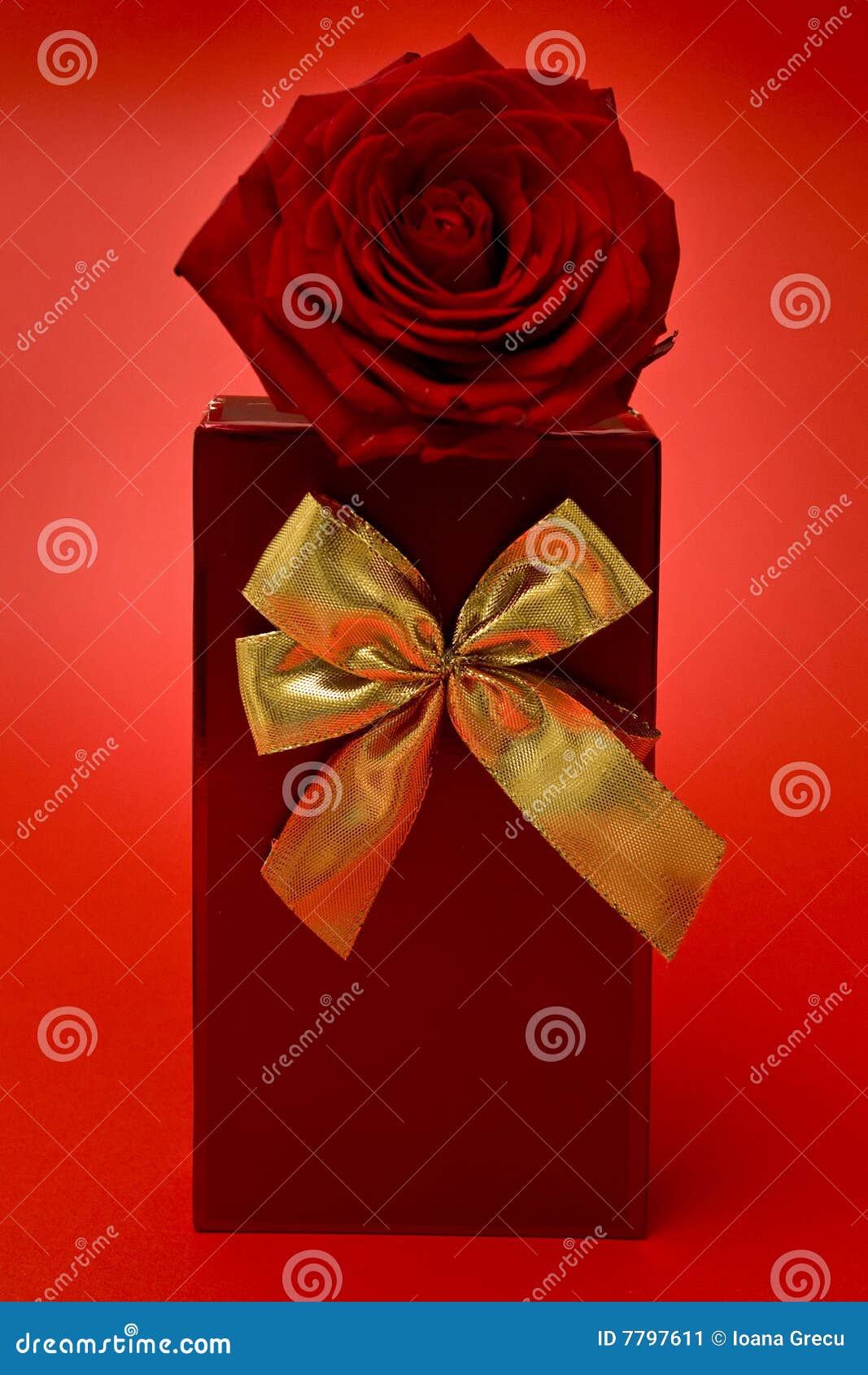 Gift and red rose stock image. Image of offer, candy, flower - 7797611