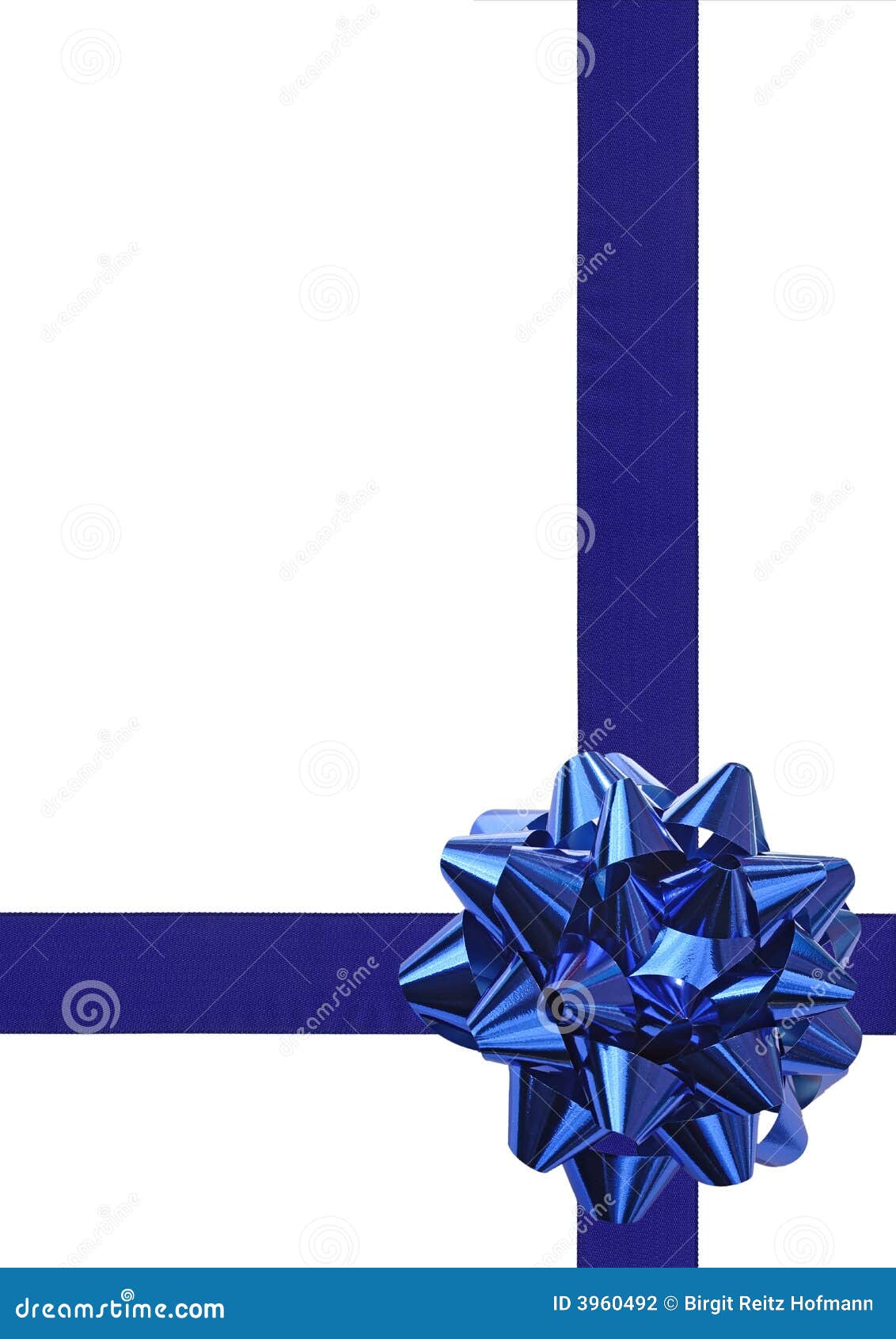 Gift ribbon stock photo. Image of holiday, blue, ribbon - 3960492