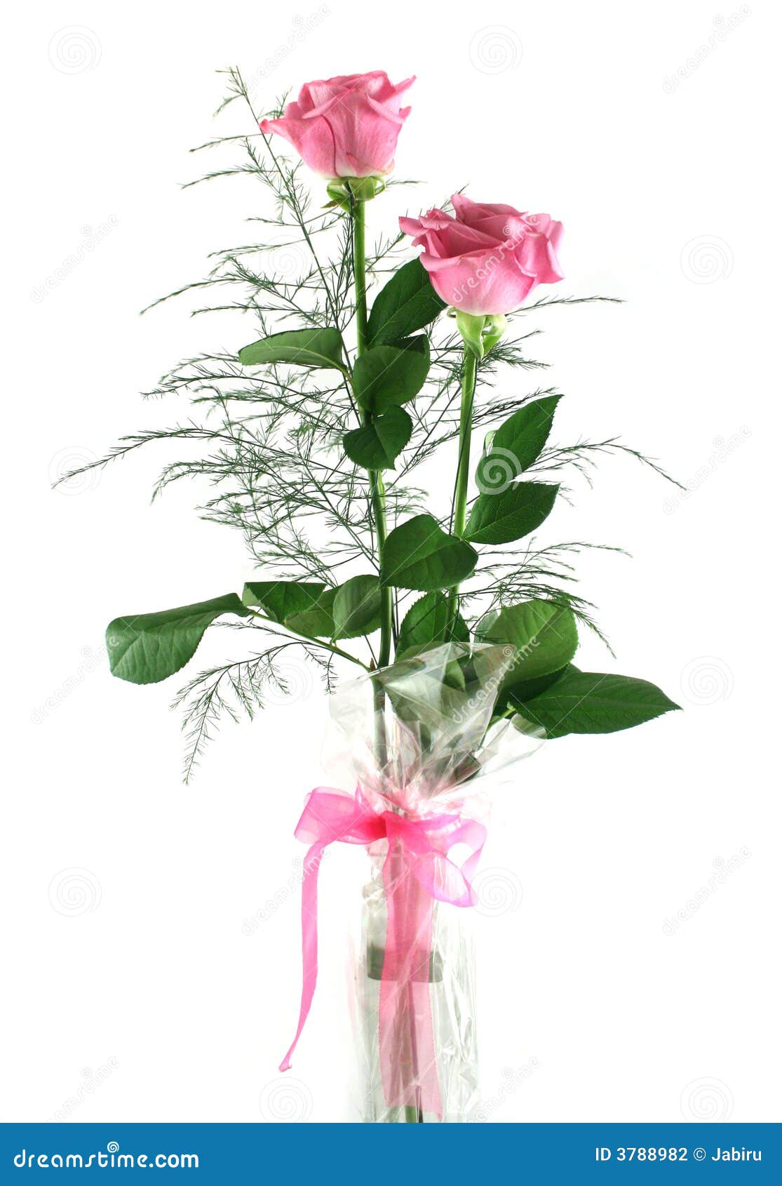Gift Roses 1 stock photo. Image of present, infatuation - 3788982
