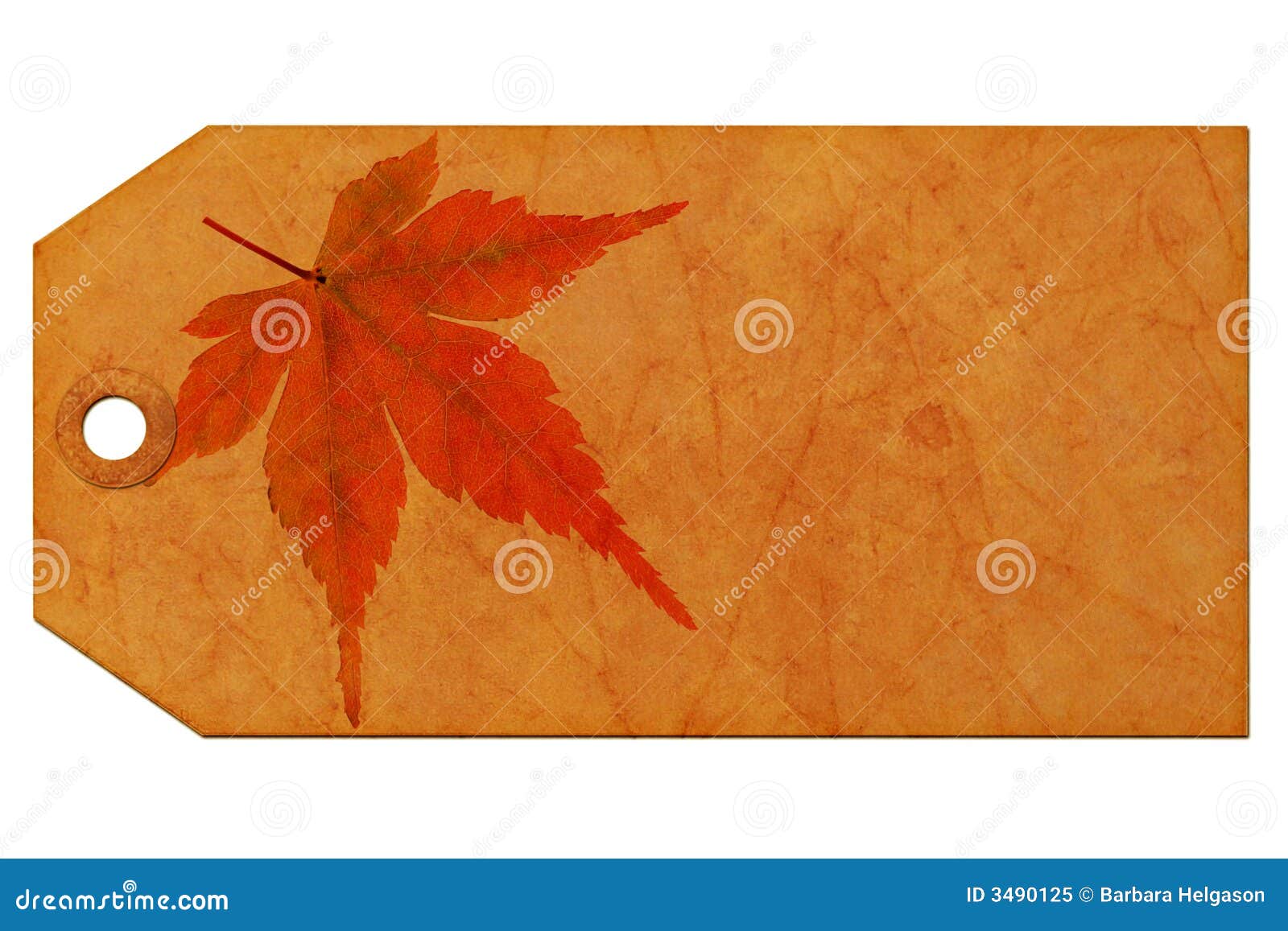 Gift tag with maple leaf stock image. Image of isolated - 3490125