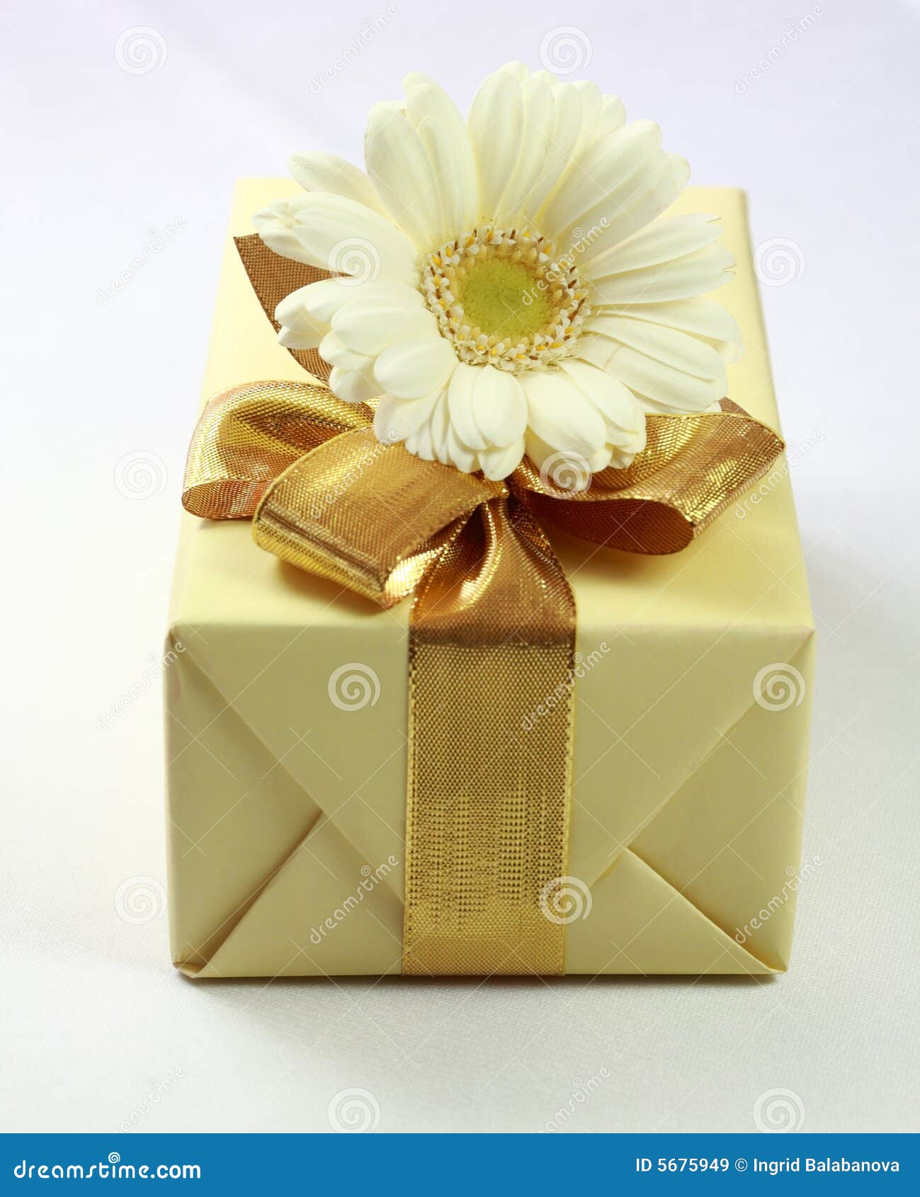 Gift for you stock image. Image of mother, gold, decoration - 5675949