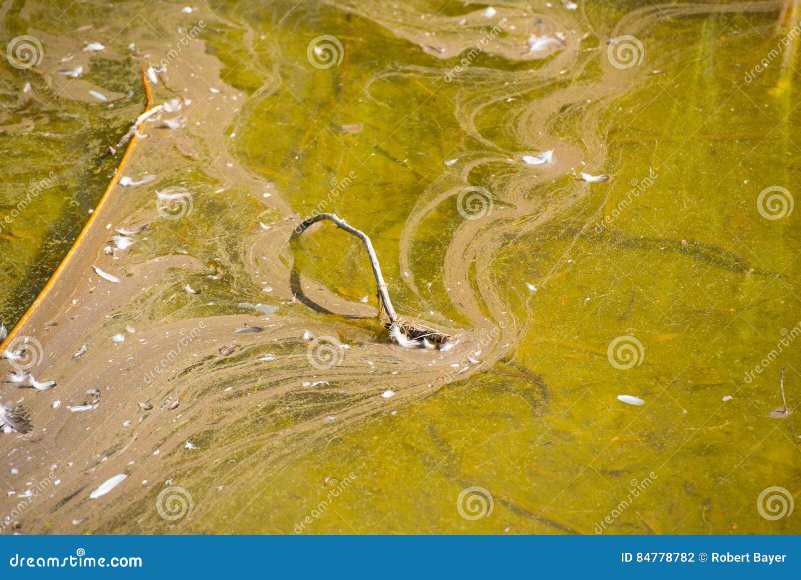 Giftige Wasserverschmutzung Im Fluss Oder Im See Stockfoto - Bild von ...