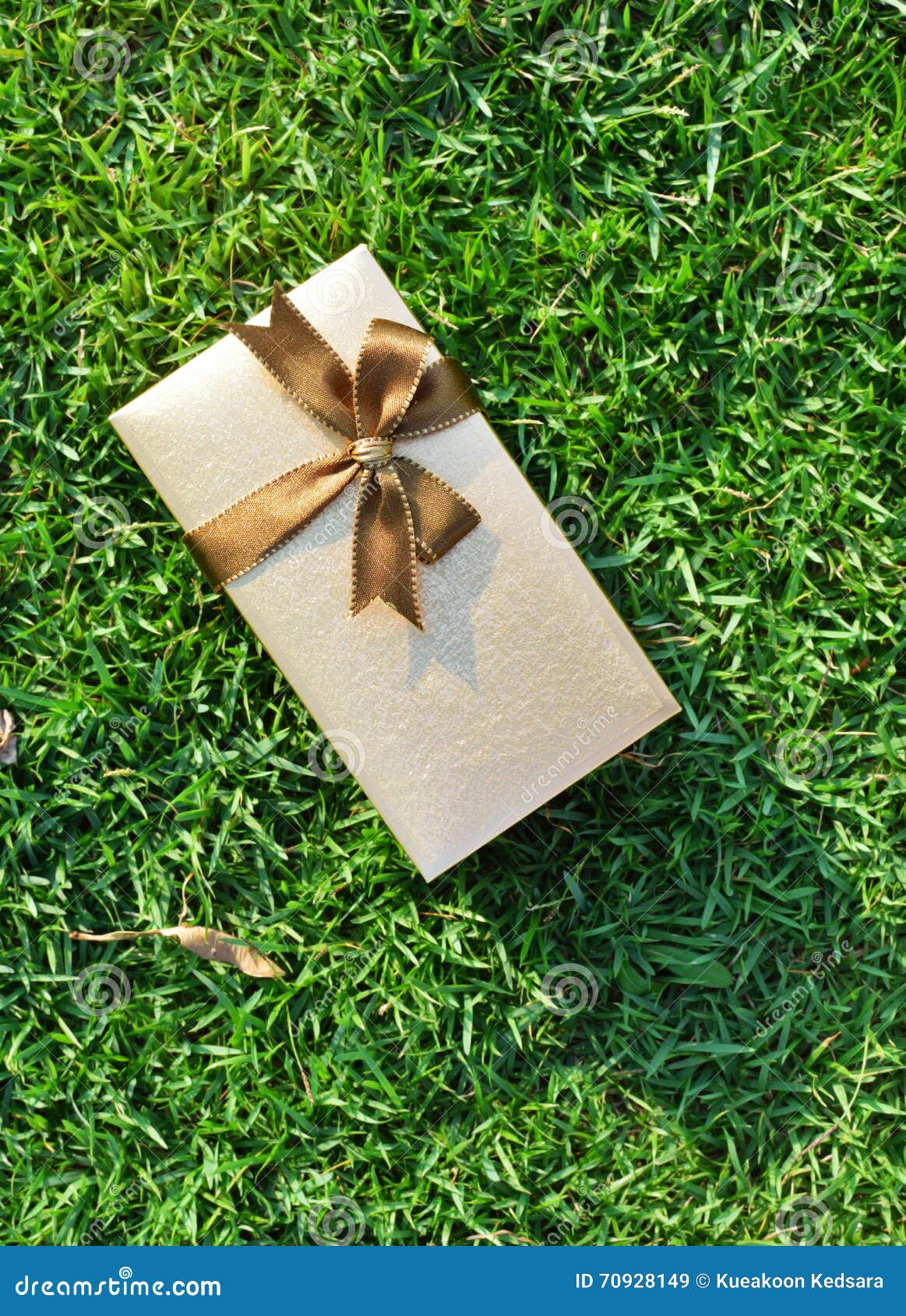 Gifts and Congratulations Lying on Green Grass Stock Image - Image of ...