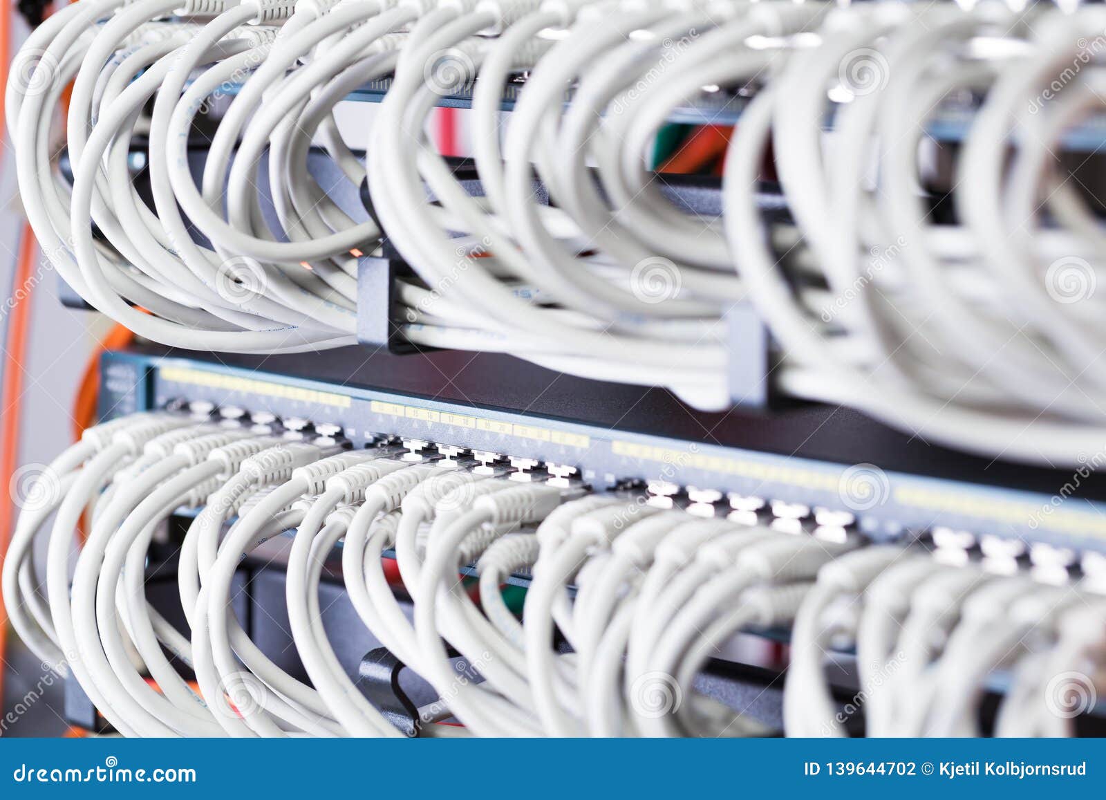 Gigabit Network Switch and Perfect Aligned Patch Cables in Datacenter ...