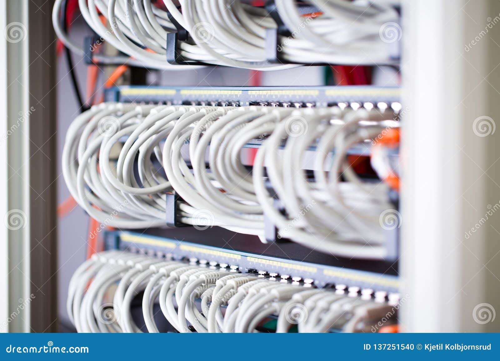 Gigabit Network Switch and Perfect Aligned Patch Cables in Datacenter ...