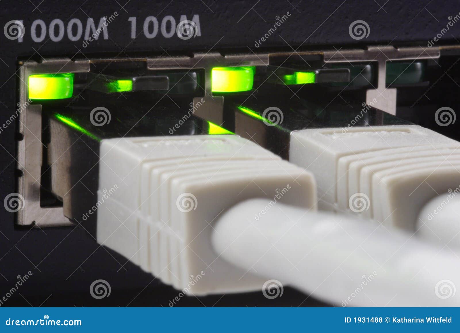 Gigabit Plugged stock photo. Image of internet, wired - 1931488