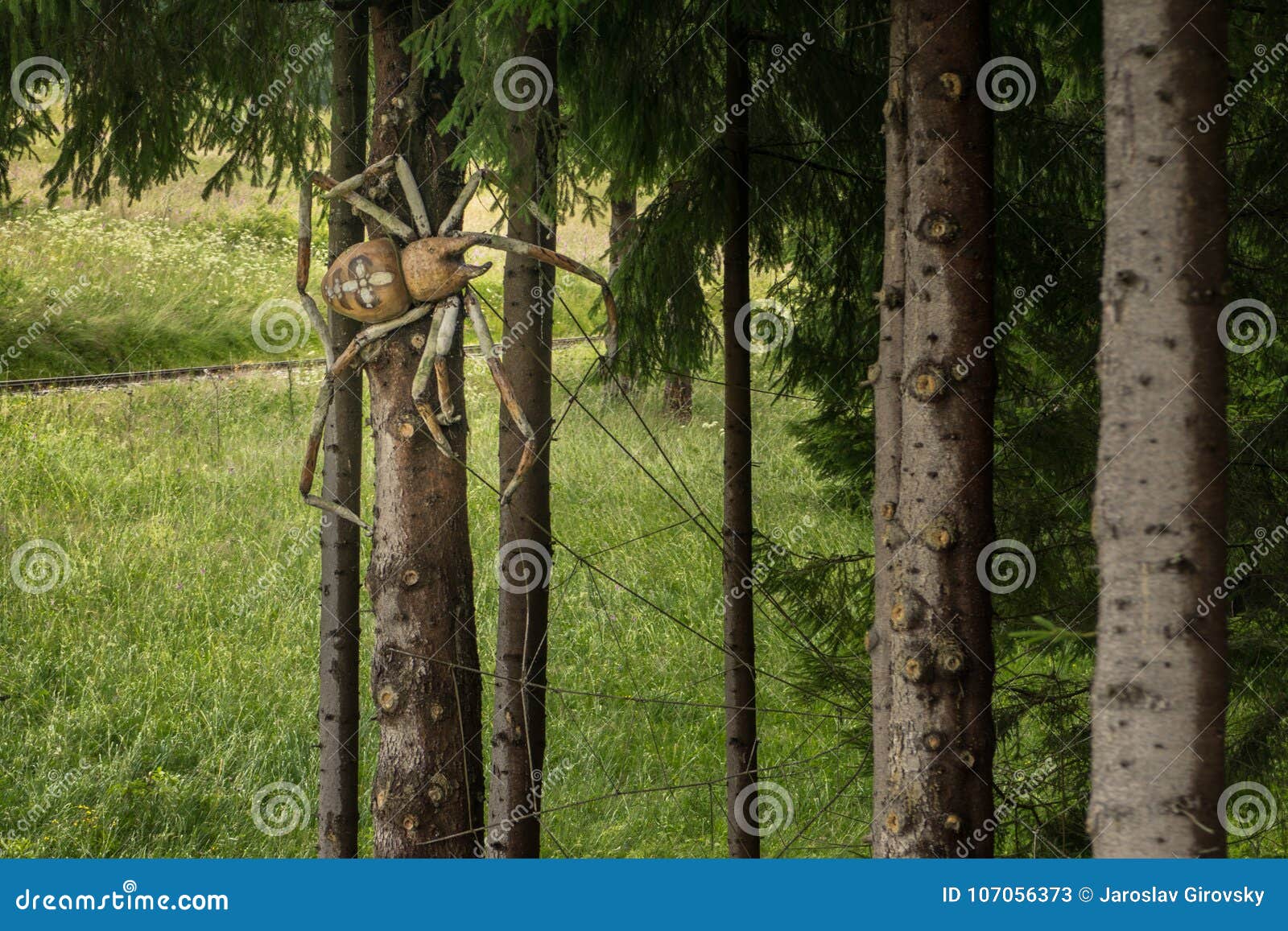 Spider on the tree stock image. Image of predator, animal - 107056373