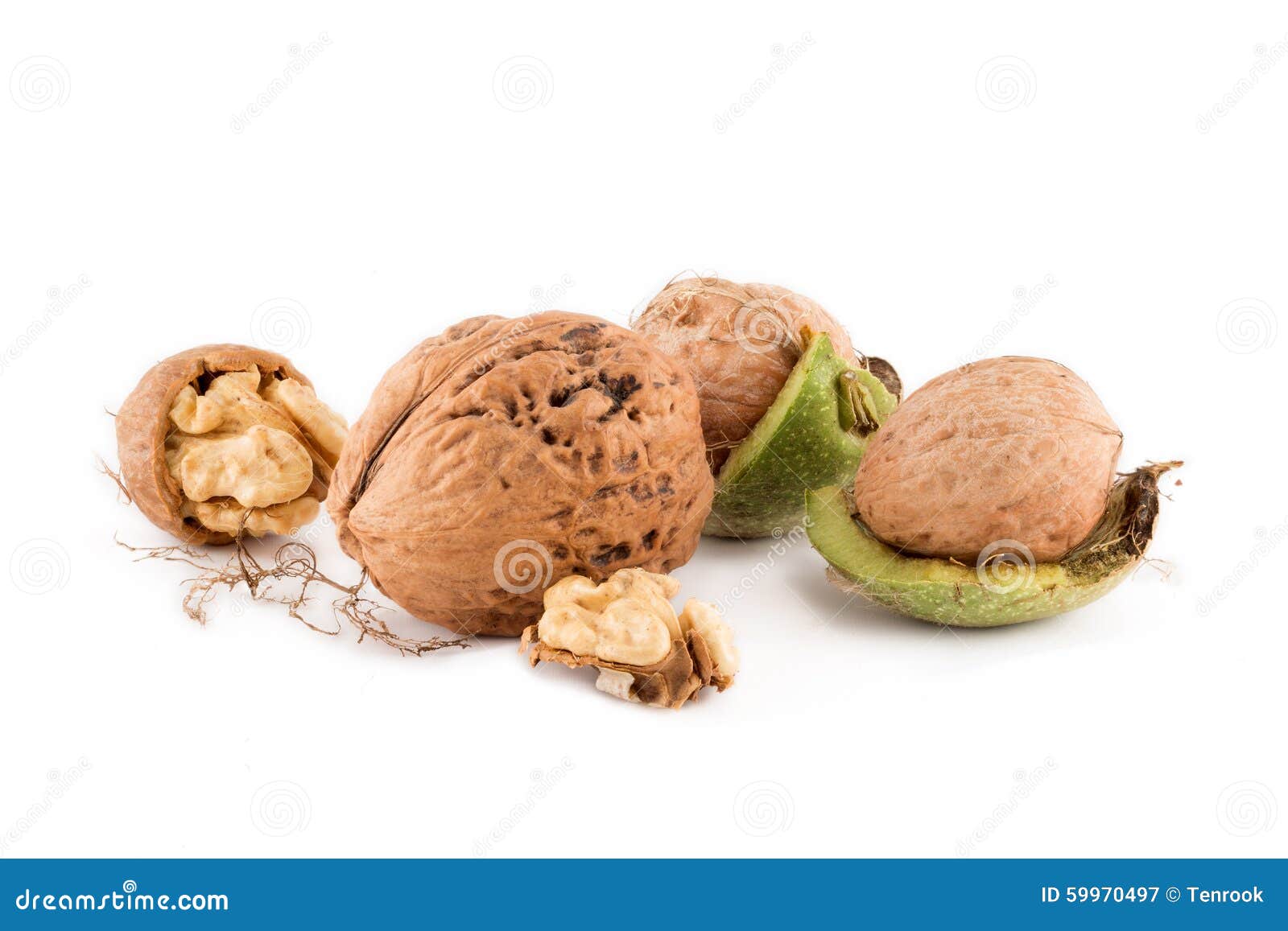 Gigantic Walnut among Ordinary Nut Kernels, in-shell and Green Skin, on ...