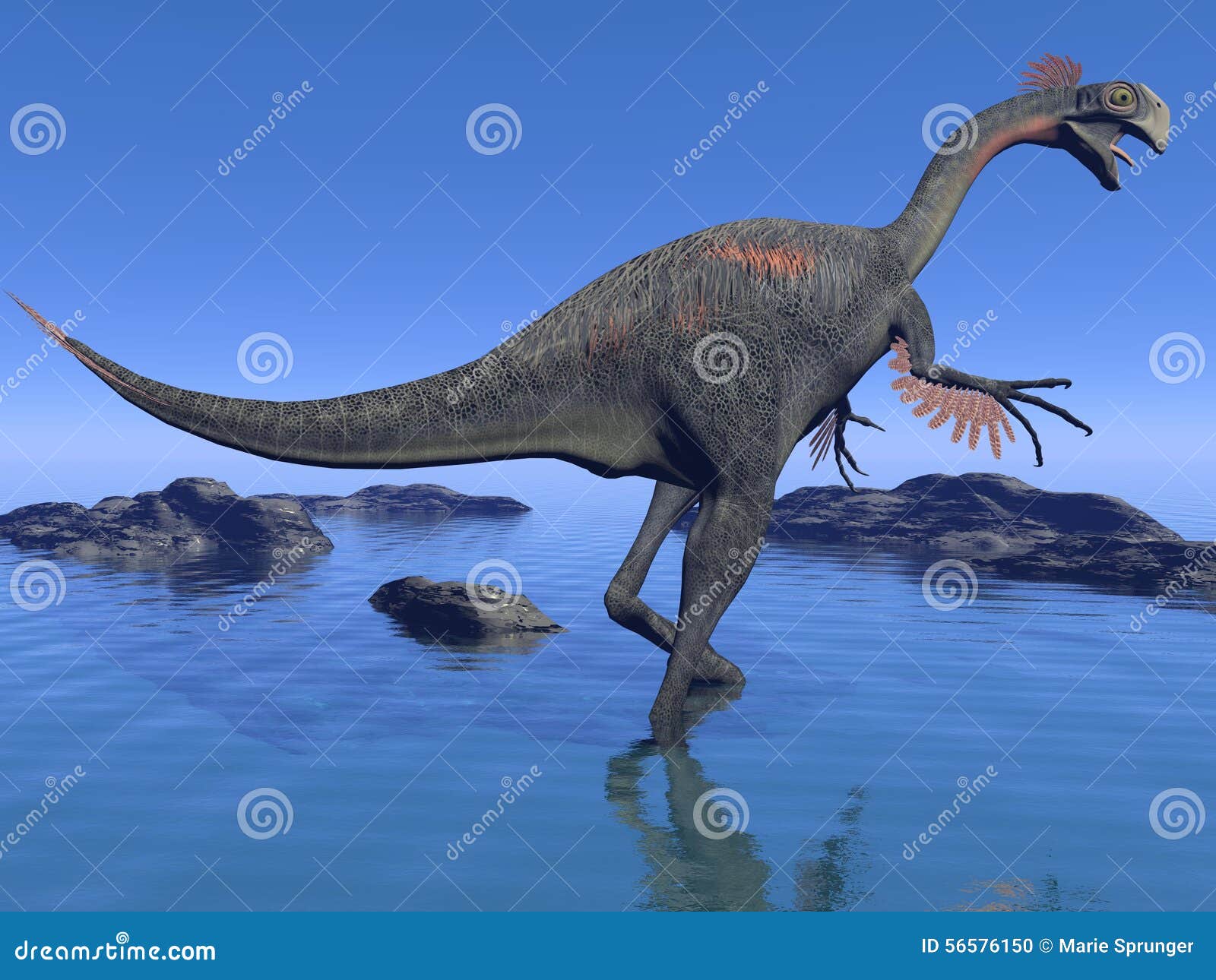 Gigantoraptor Dinosaur Tail Royalty-Free Stock Image | CartoonDealer ...