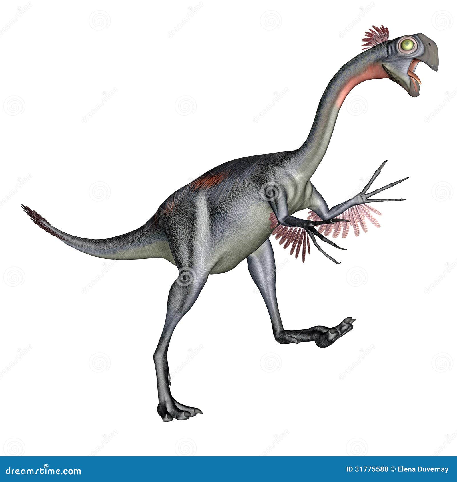 Gigantoraptor dinosaur stock illustration. Illustration of character ...