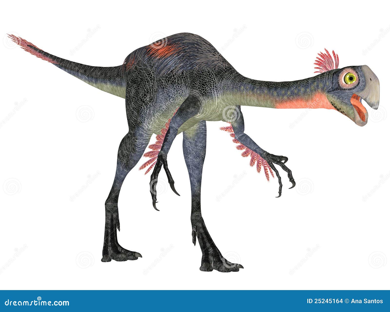 Gigantosaurus, Art Of Dinosaur Vector Illustration | CartoonDealer.com ...
