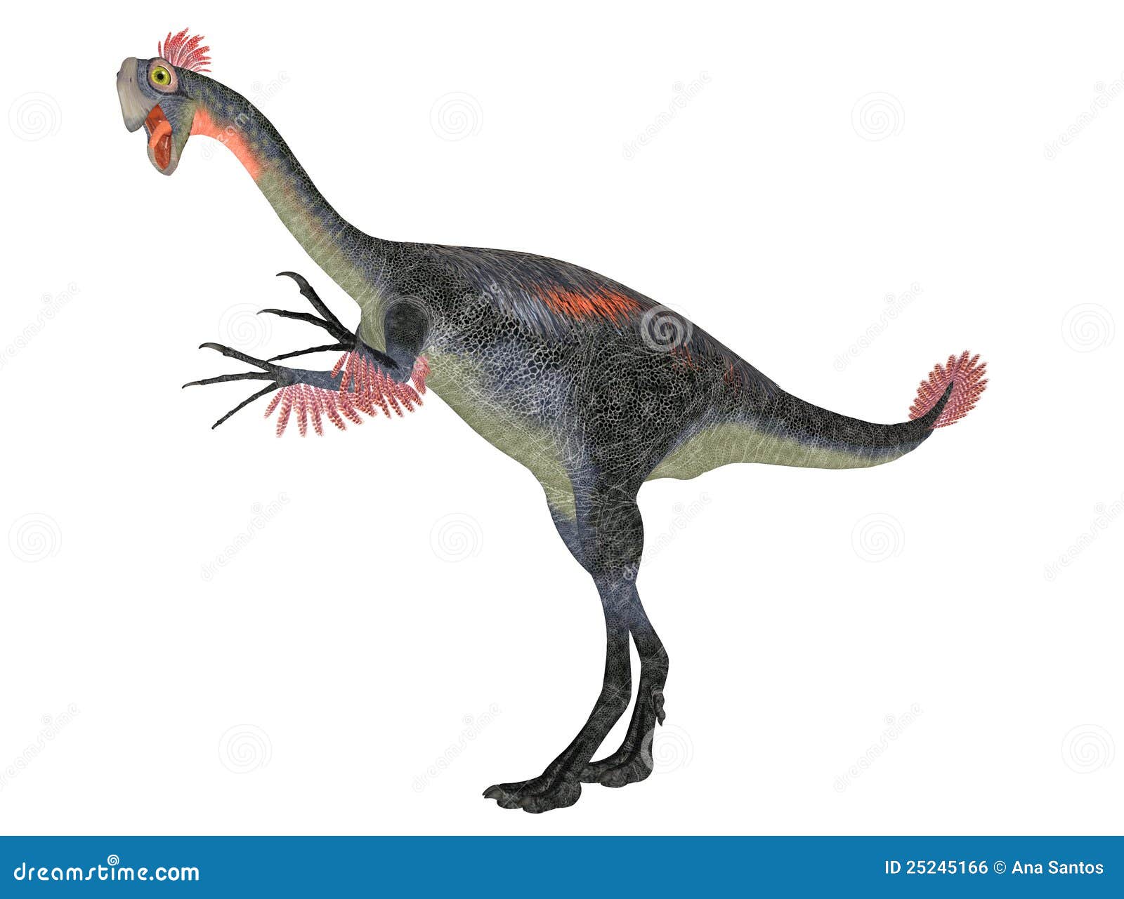 Gigantosaurus, Art Of Dinosaur Vector Illustration | CartoonDealer.com ...