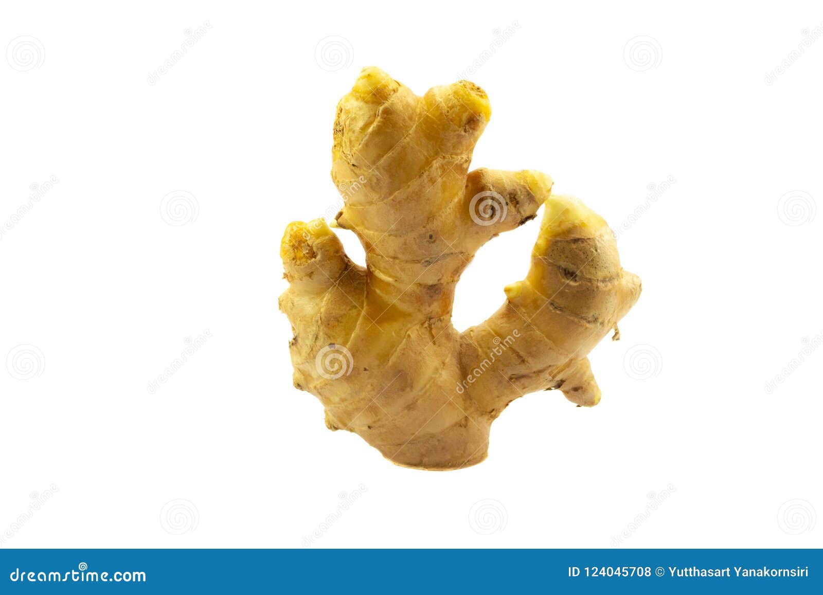 Giger Isolated On White Background Royalty-Free Stock Image ...