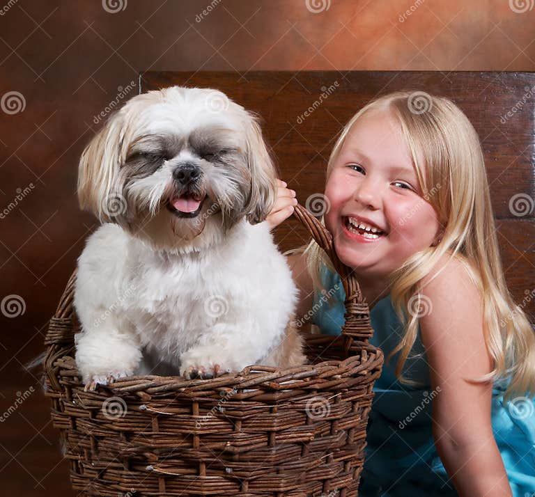 Giggling doggy stock image. Image of blond, pets, smile - 2594163
