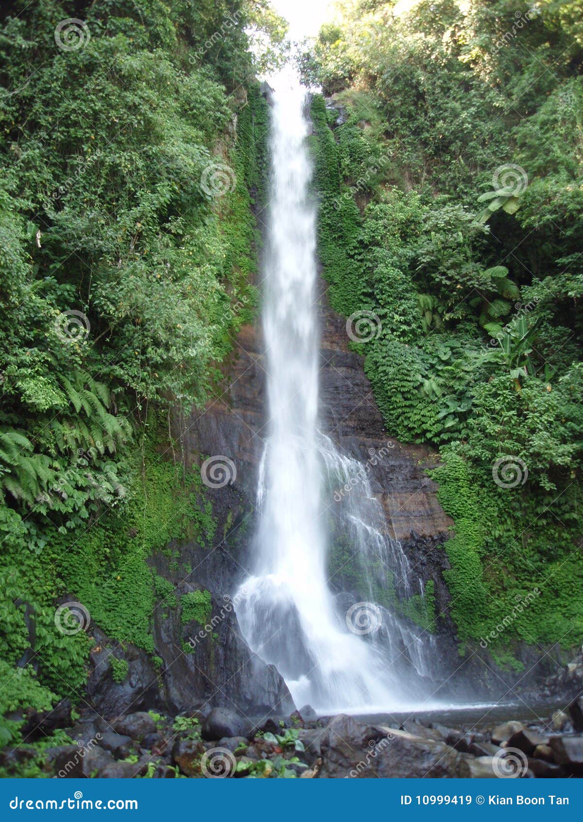 Gigit Waterfall stock image. Image of forest, water, bali - 10999419