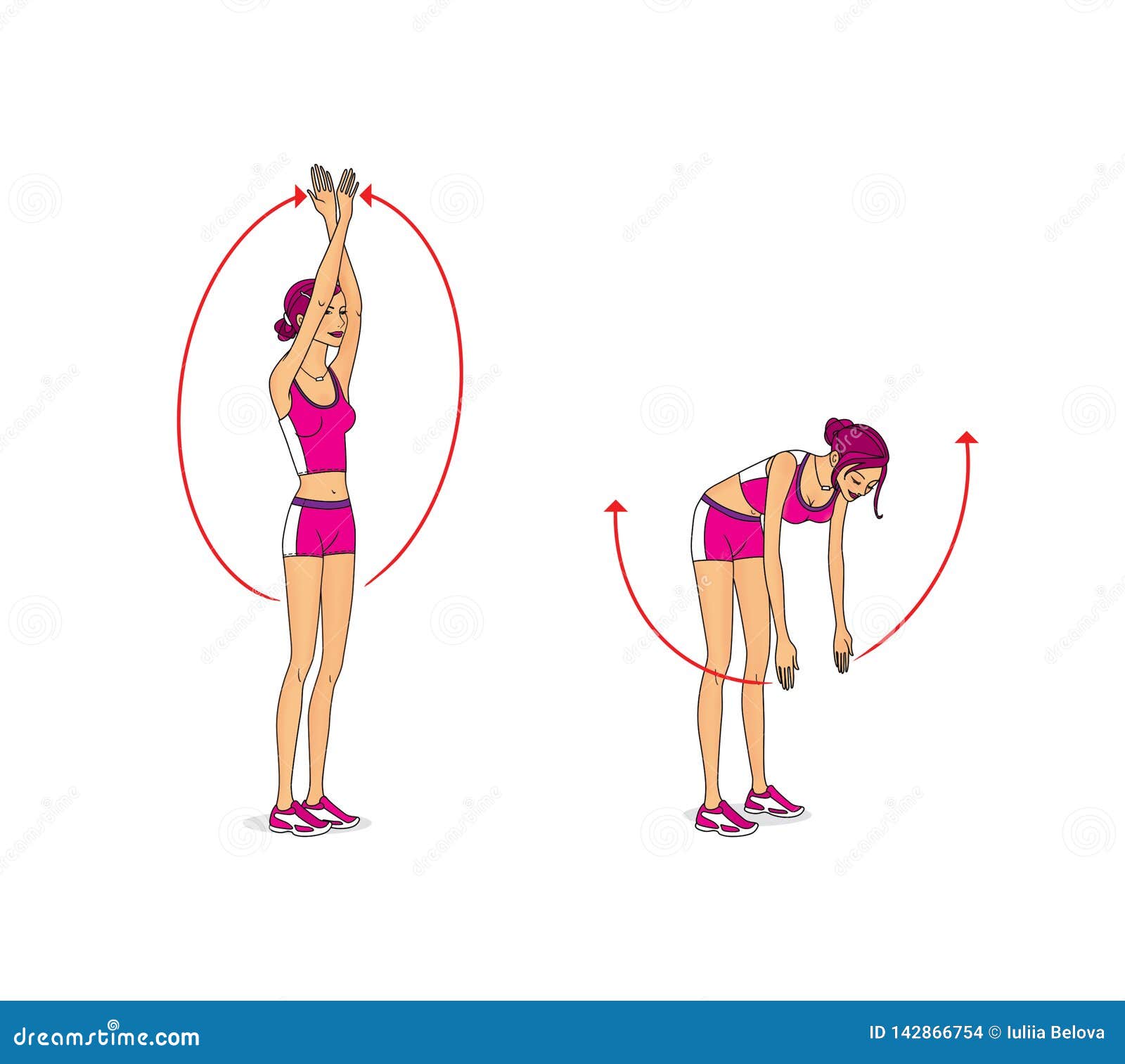 Giirl is Training. Dynamic Training for Mobility of the Joints of the ...