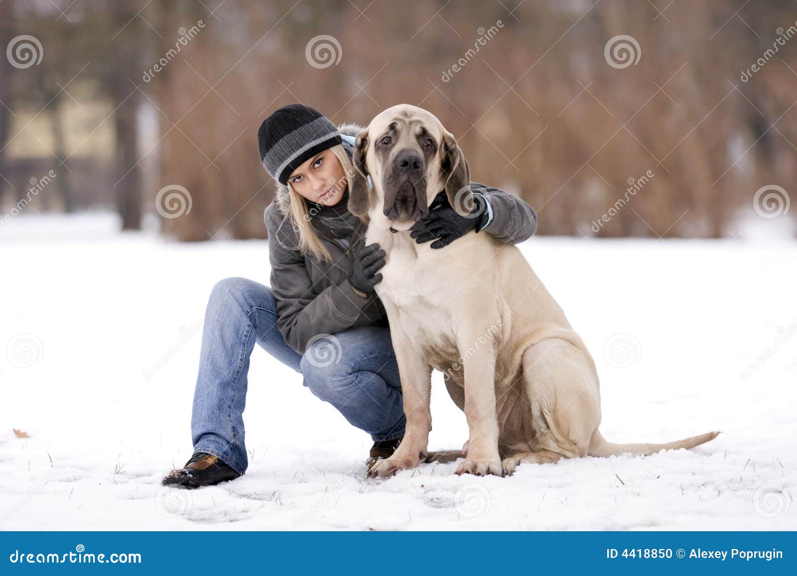 Gil with dog stock photo. Image of loving, friend, embracing - 4418850