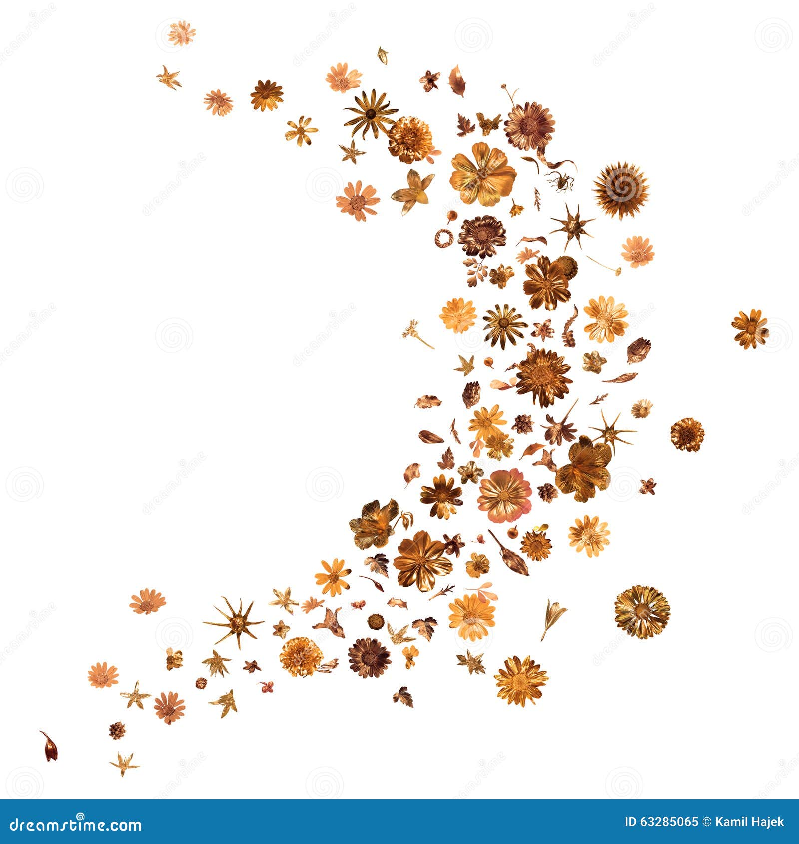 Gilded Flower Buds Curve stock image. Image of precious - 63285065