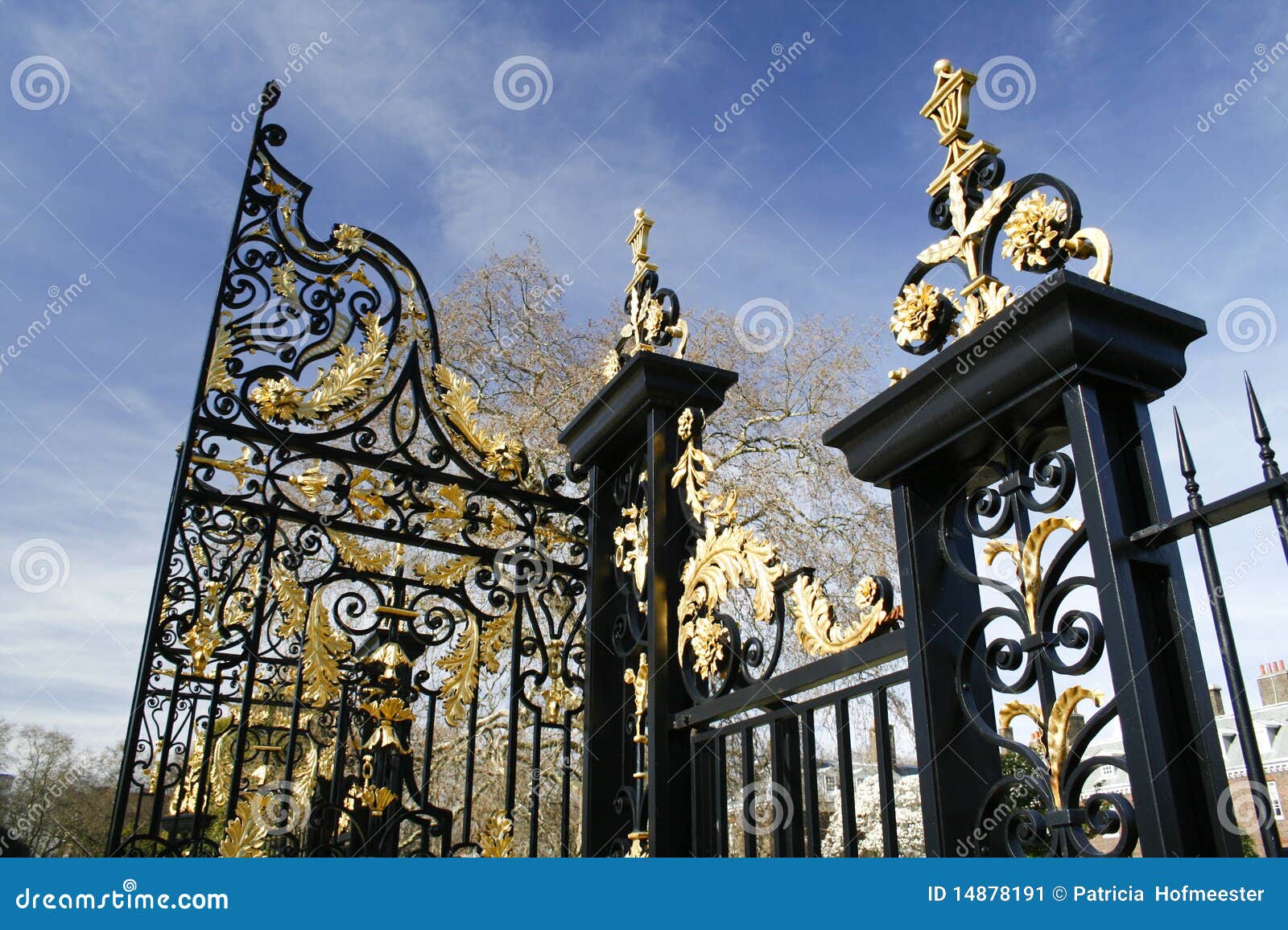 Gilded gate stock image. Image of floral, design, silhouette - 14878191