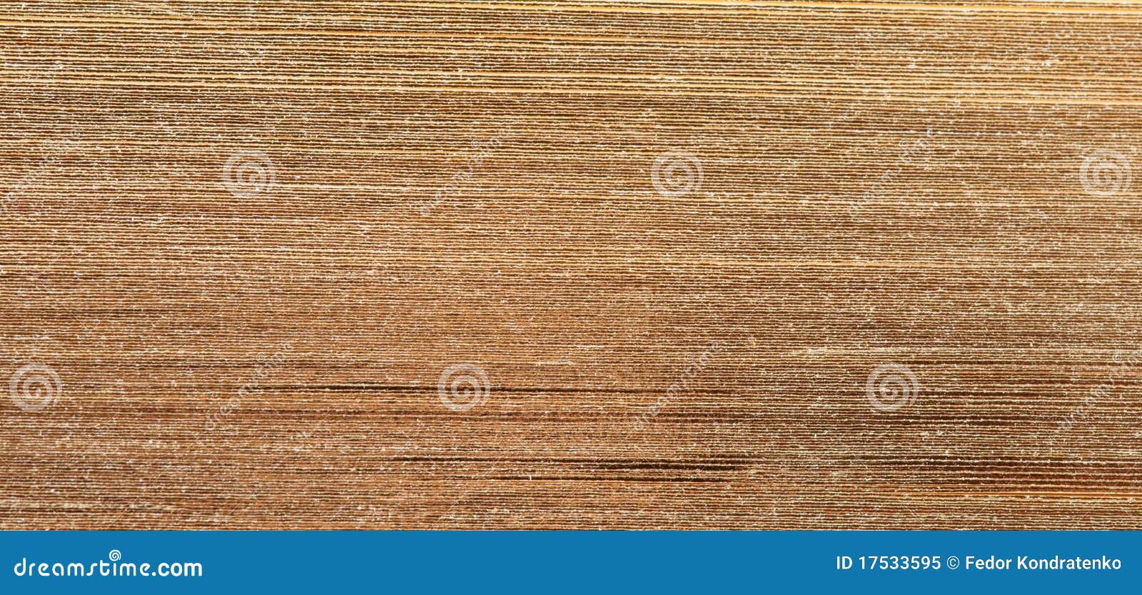 Gilded Pages of a Book, Macro Shot Stock Image - Image of striped ...