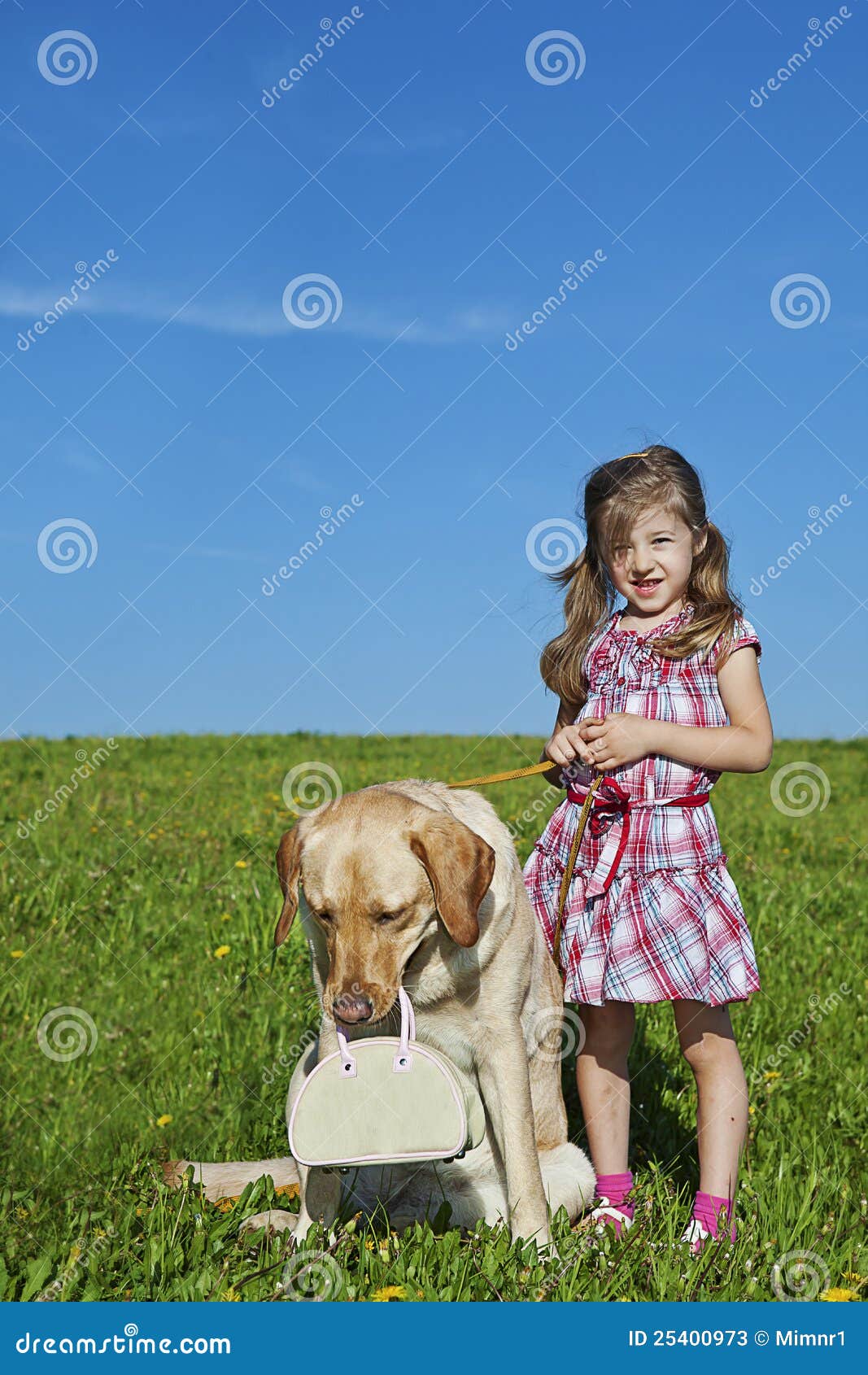 Gilr with dog stock image. Image of front, female, pedigreed - 25400973