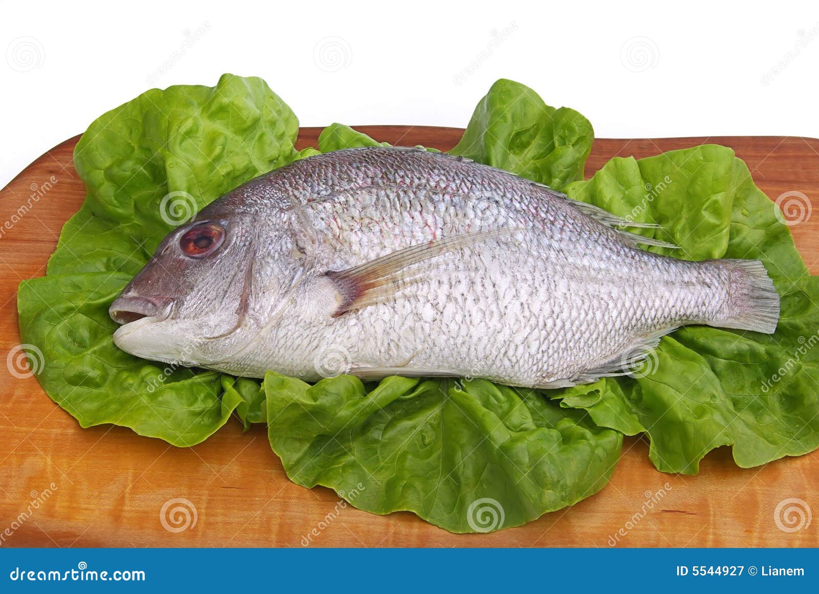 Fresh Dorade Sea Bream Fish Fillets With Ice On Market, Close-up ...