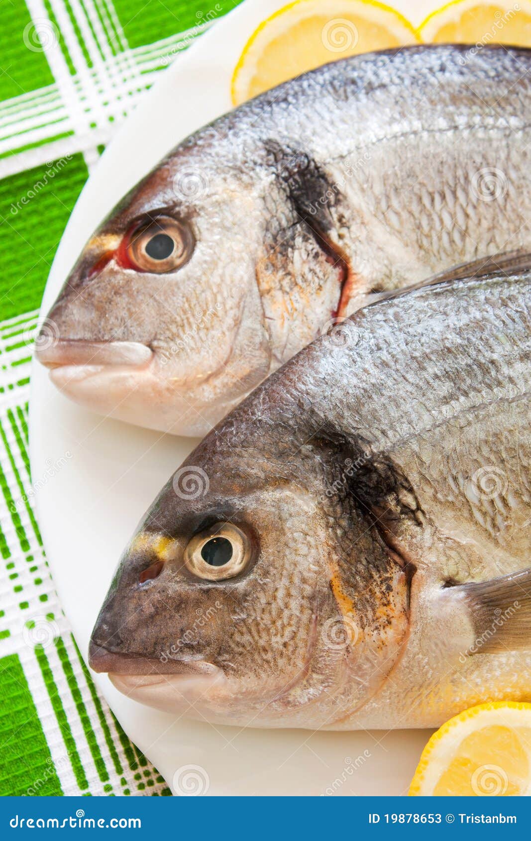 Gilt-head bream stock image. Image of healthy, head, food - 19878653