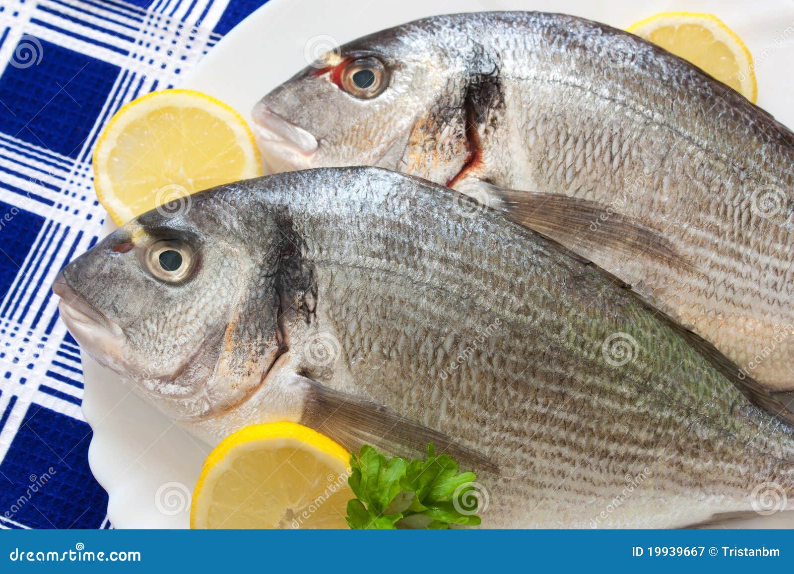 Gilt-head bream stock image. Image of fishmonger, cook - 19939667