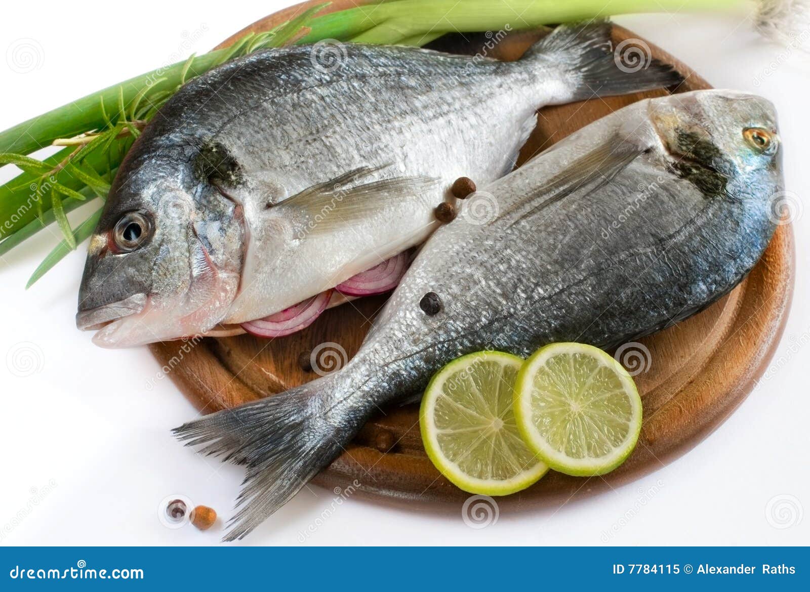 Gilt-head bream fish stock image. Image of closeup, aurat - 7784115