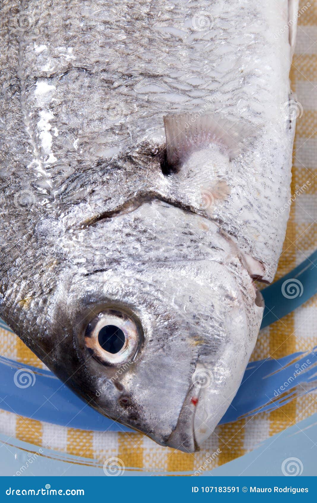 Gilt-head bream fish stock image. Image of lemon, garlic - 107183591