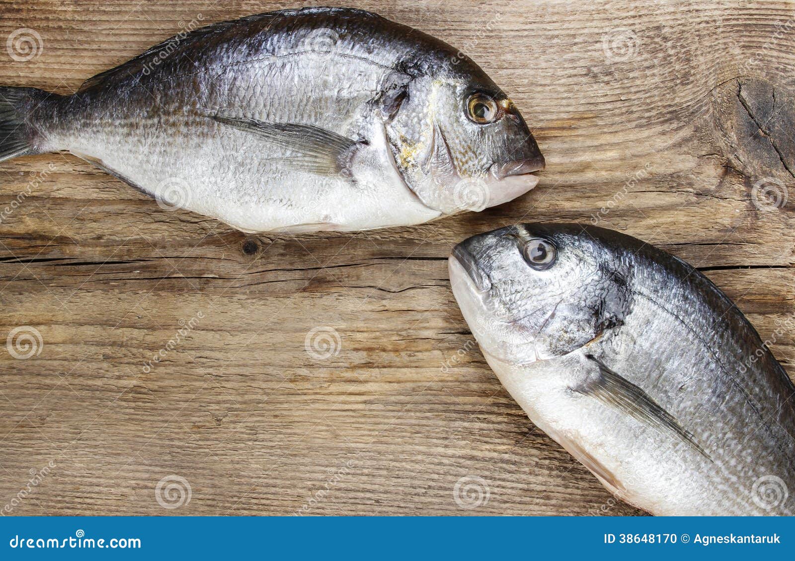 Gilt-head Bream Fish on Wooden Background Stock Photo - Image of ...