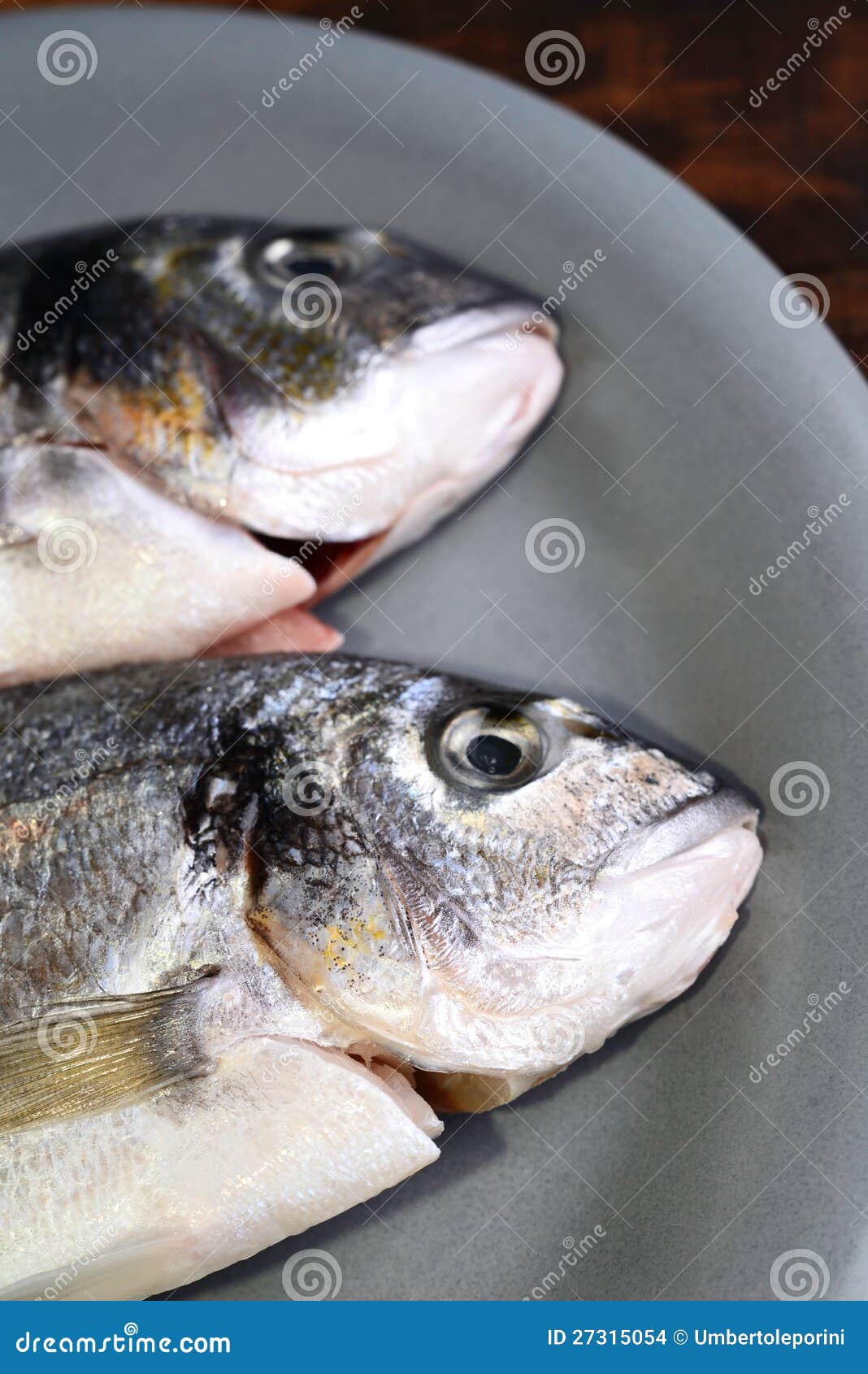 Gilt-head fish stock photo. Image of bream, kitchen, broth - 27315054