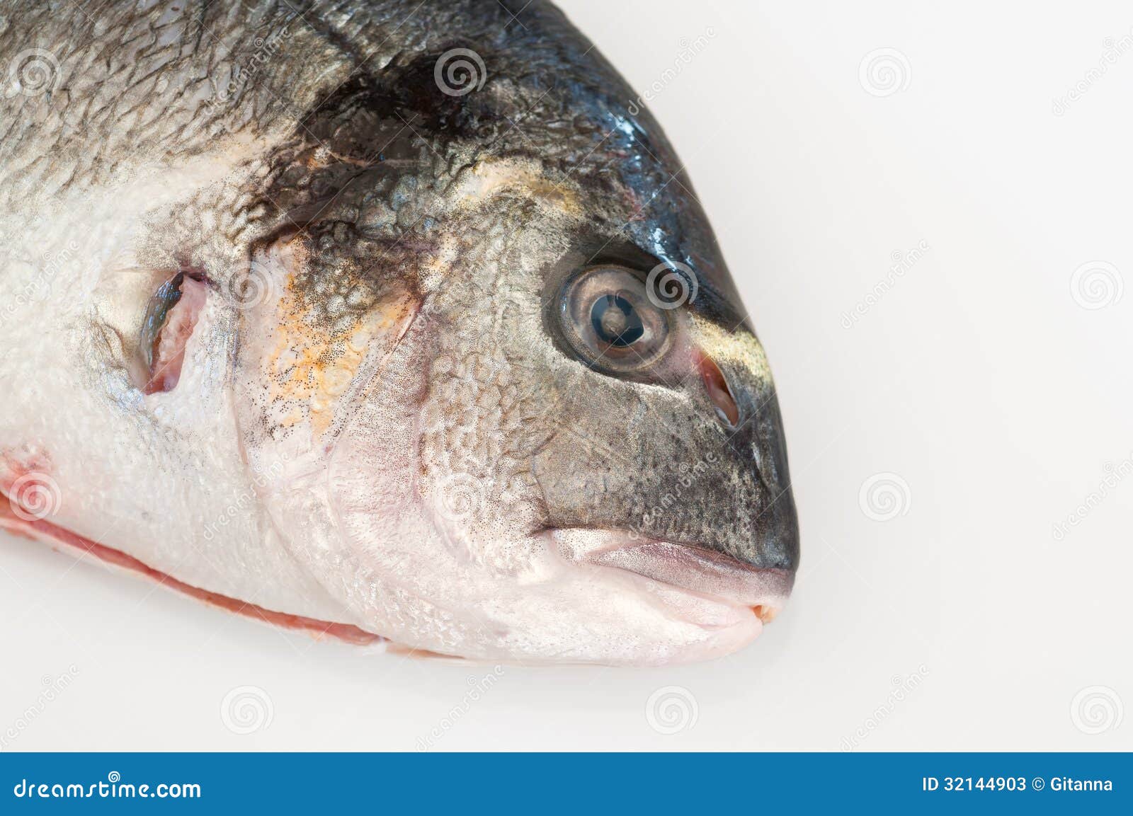 Gilt head fish stock image. Image of ingredients, background - 32144903