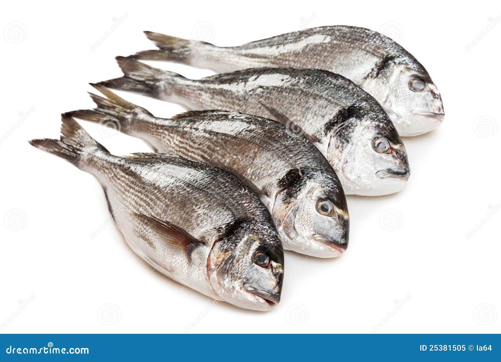Gilt-head fish food stock image. Image of heap, meat - 25381505