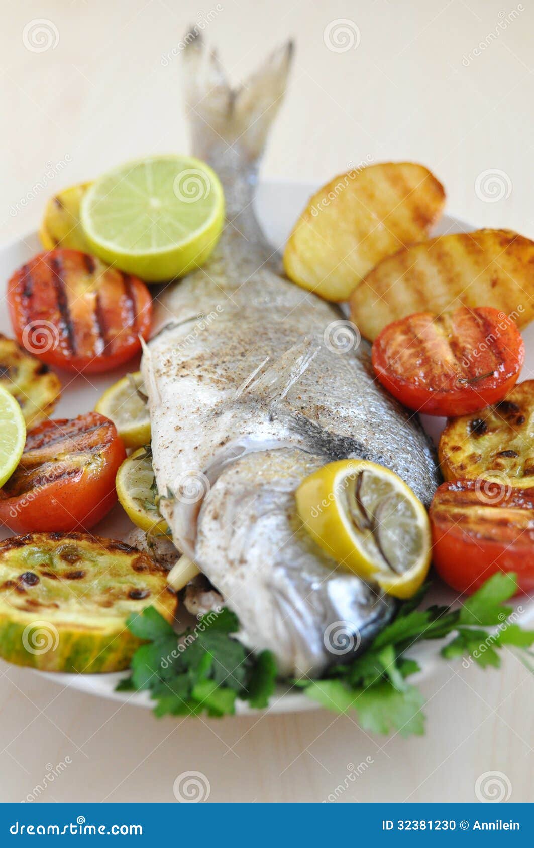 Gilt head Sea bream Fish stock photo. Image of black - 32381230
